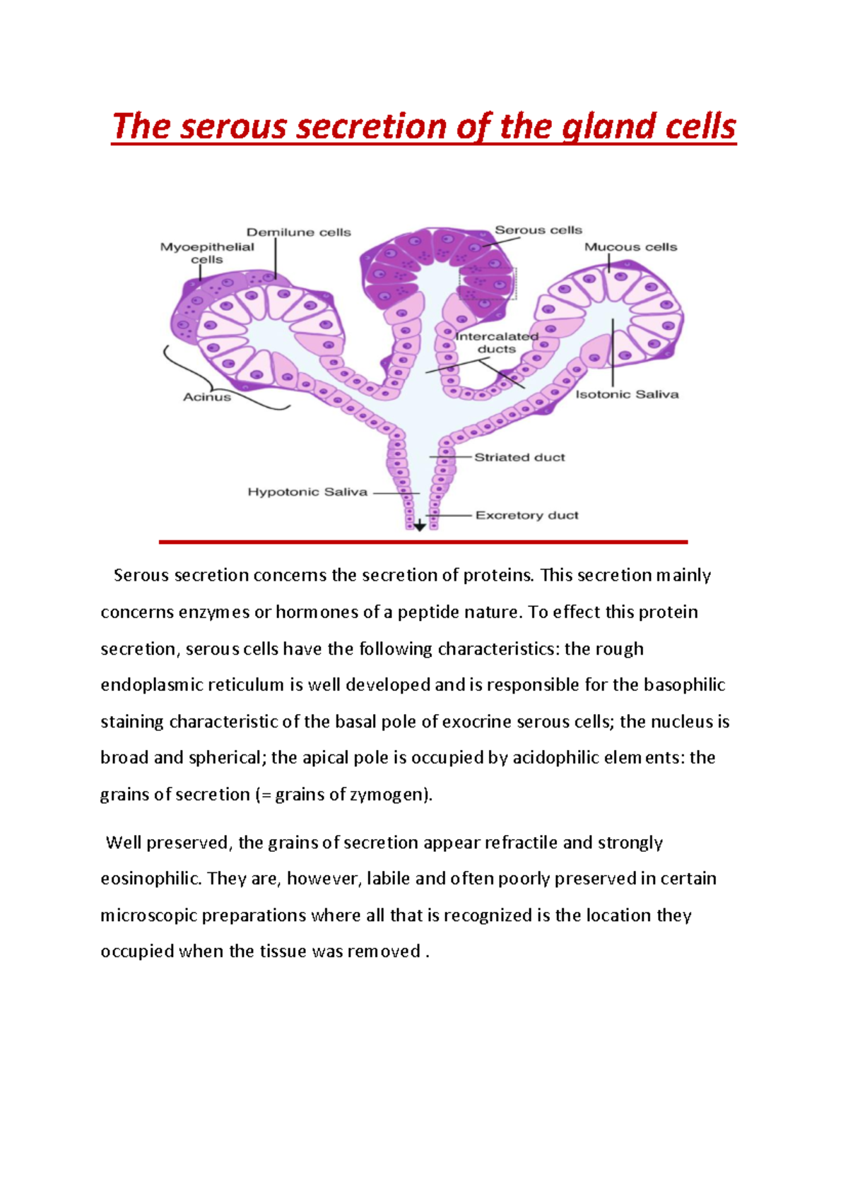 The serous secretion of the gland cells - This secretion mainly ...