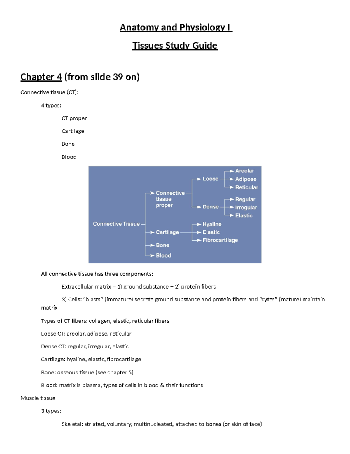 Tissues Self-Study Guide - Anatomy and Physiology I Tissues Study Guide Chapter 4 (from slide 39 ...