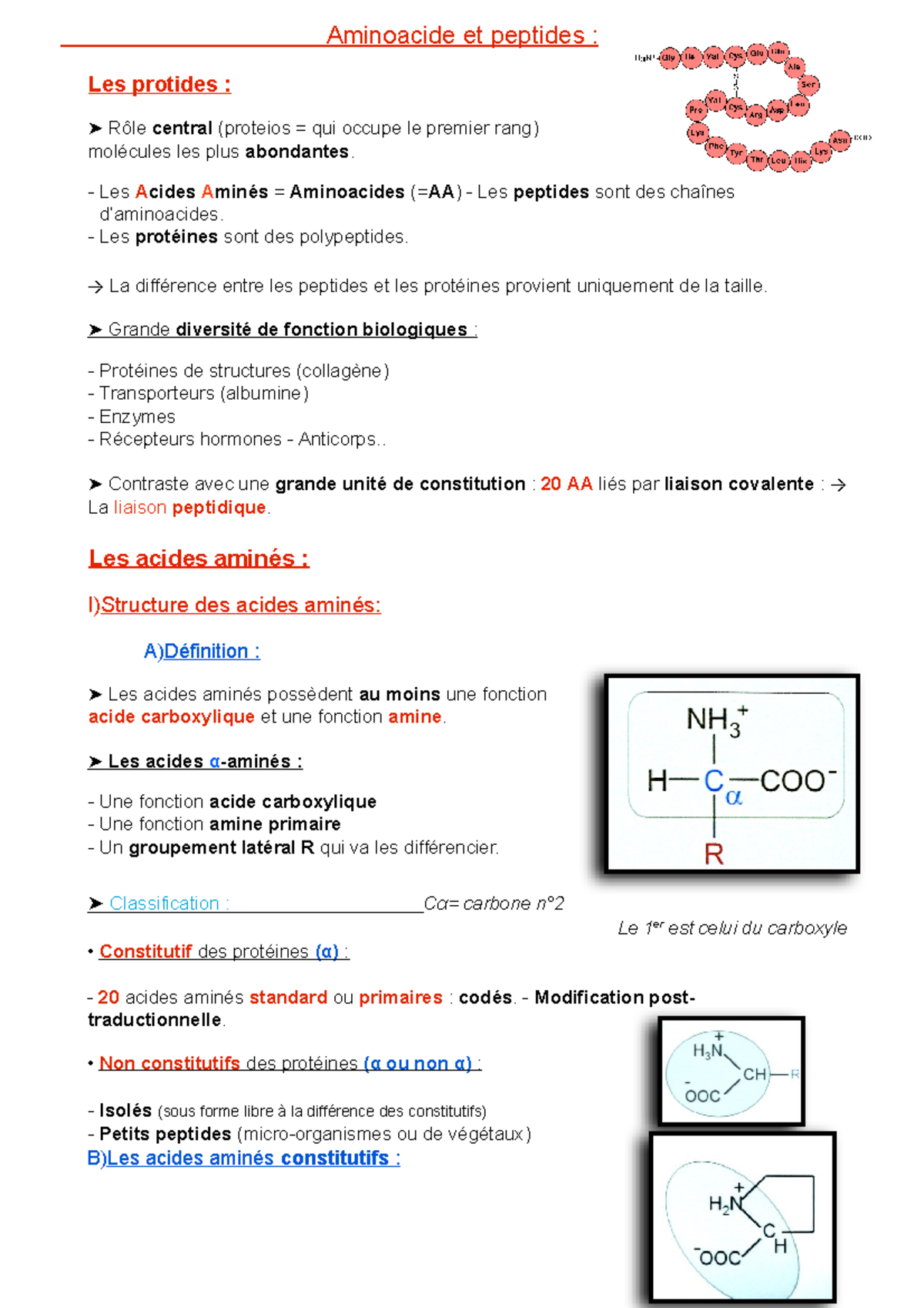 Chapitre. 13 Aminoacide et peptides - Aminoacide et peptides : Les ...