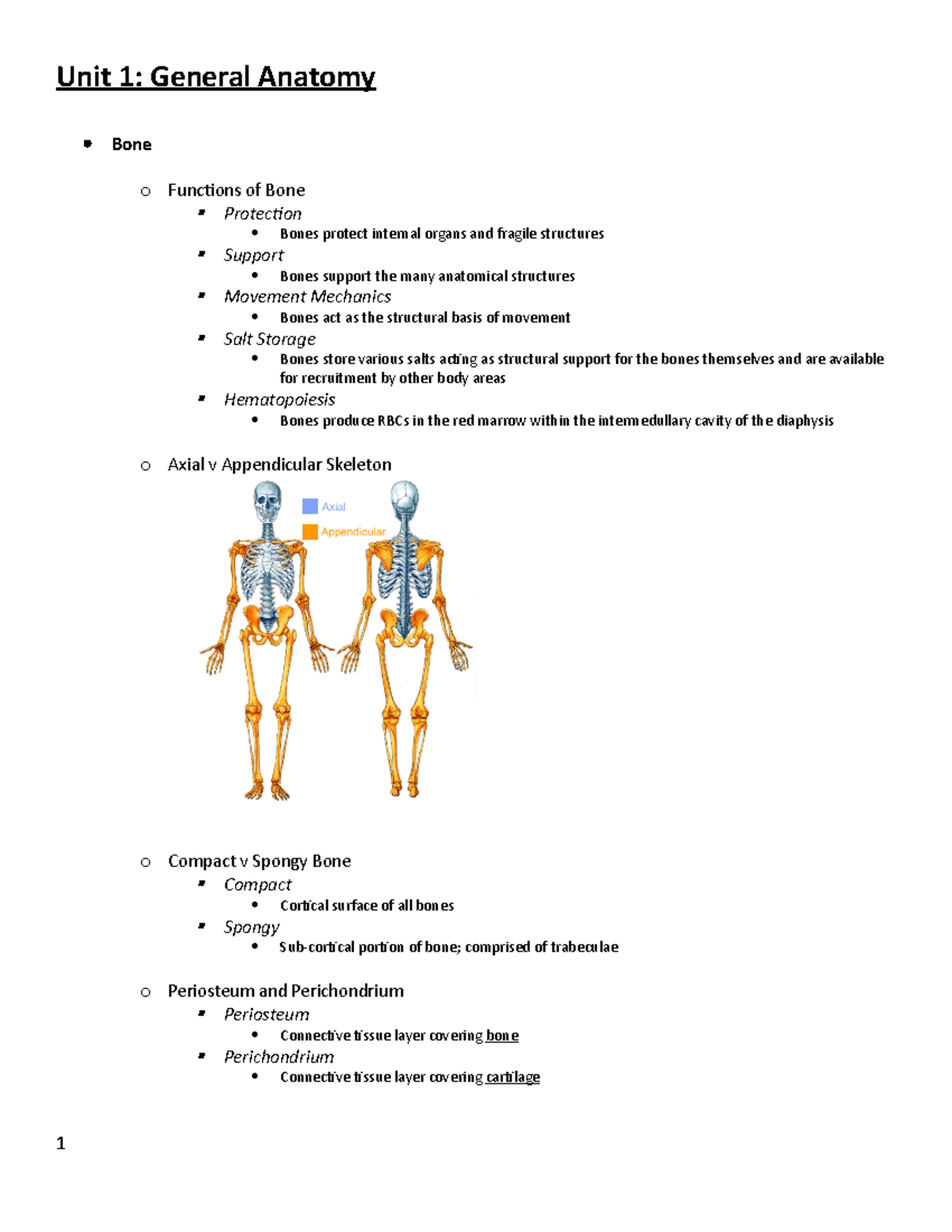 HPHY321 External Brain - Unit 1: General Anatomy Bone o Functions of ...