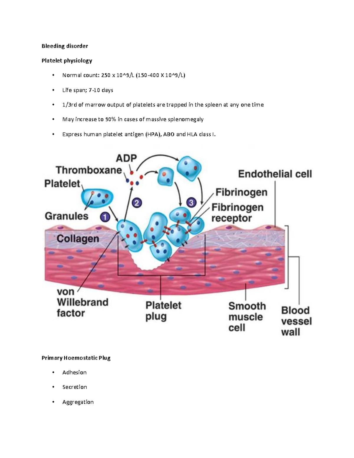 Bleeding Disorder - Paediatric - Bleeding disorder Platelet physiology ...