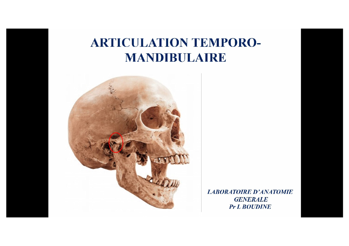 4 Articulation temporo-mandibulaire Pr - Anatomie dentaire descriptive ...