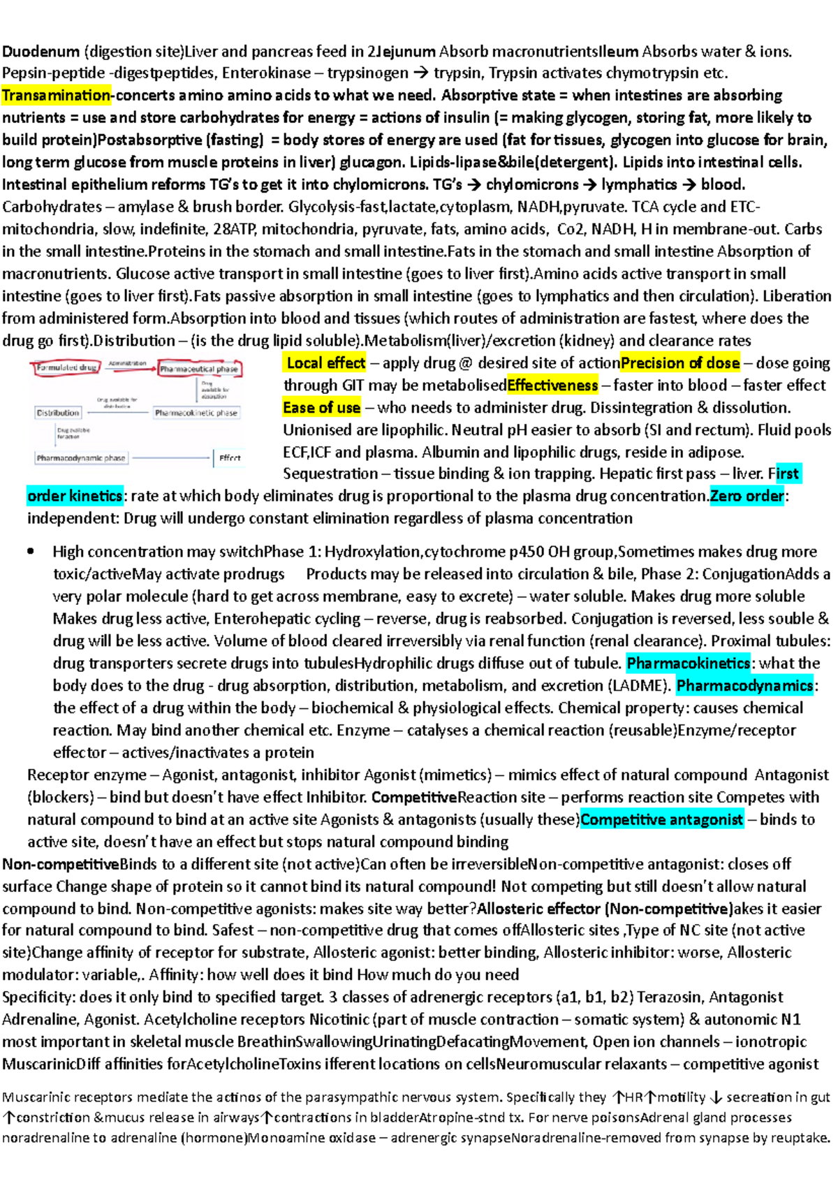 BM notes - Duodenum (digestion site)Liver and pancreas feed in 2Jejunum ...