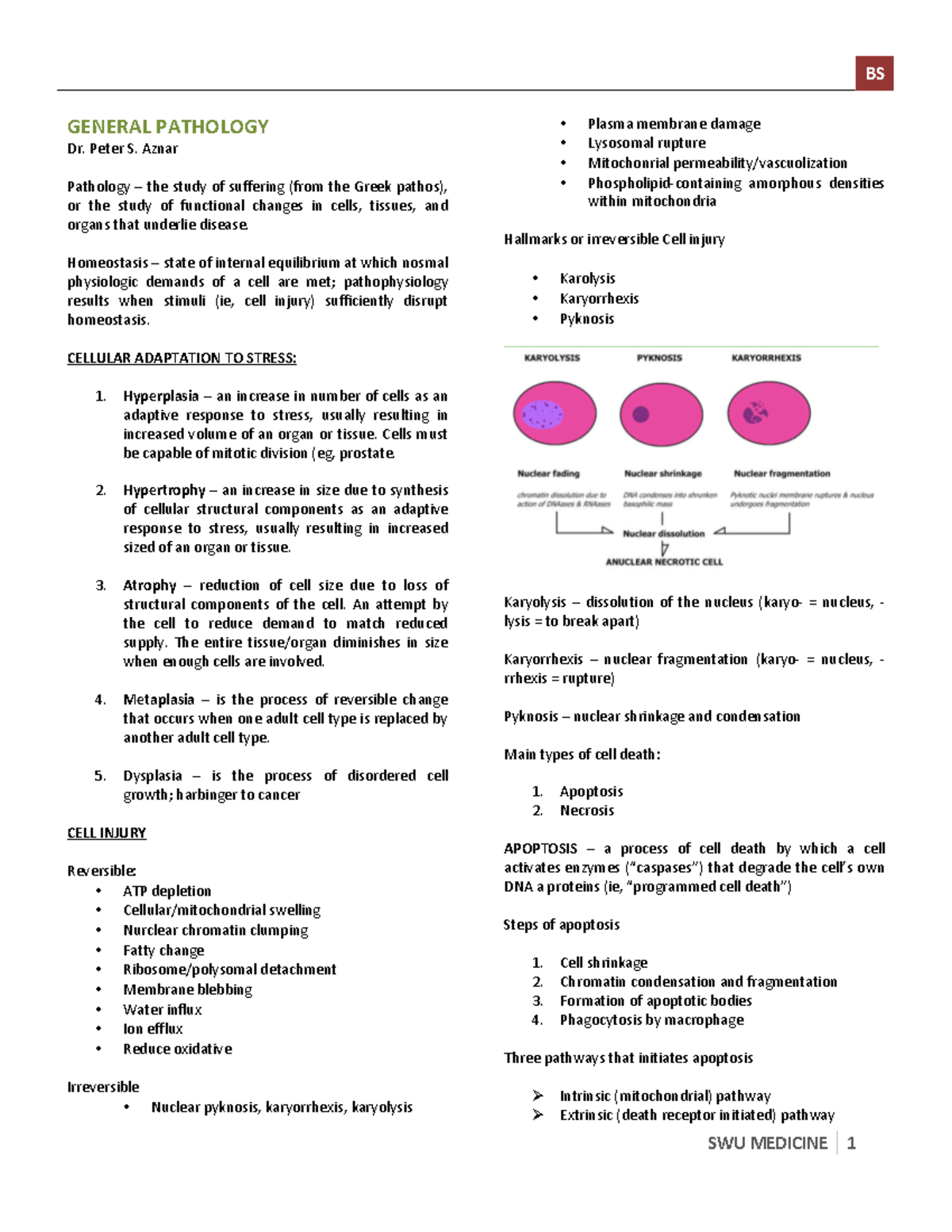 1 - Introduction to Gen Path - GENERAL PATHOLOGY Dr. Peter S. Aznar ...
