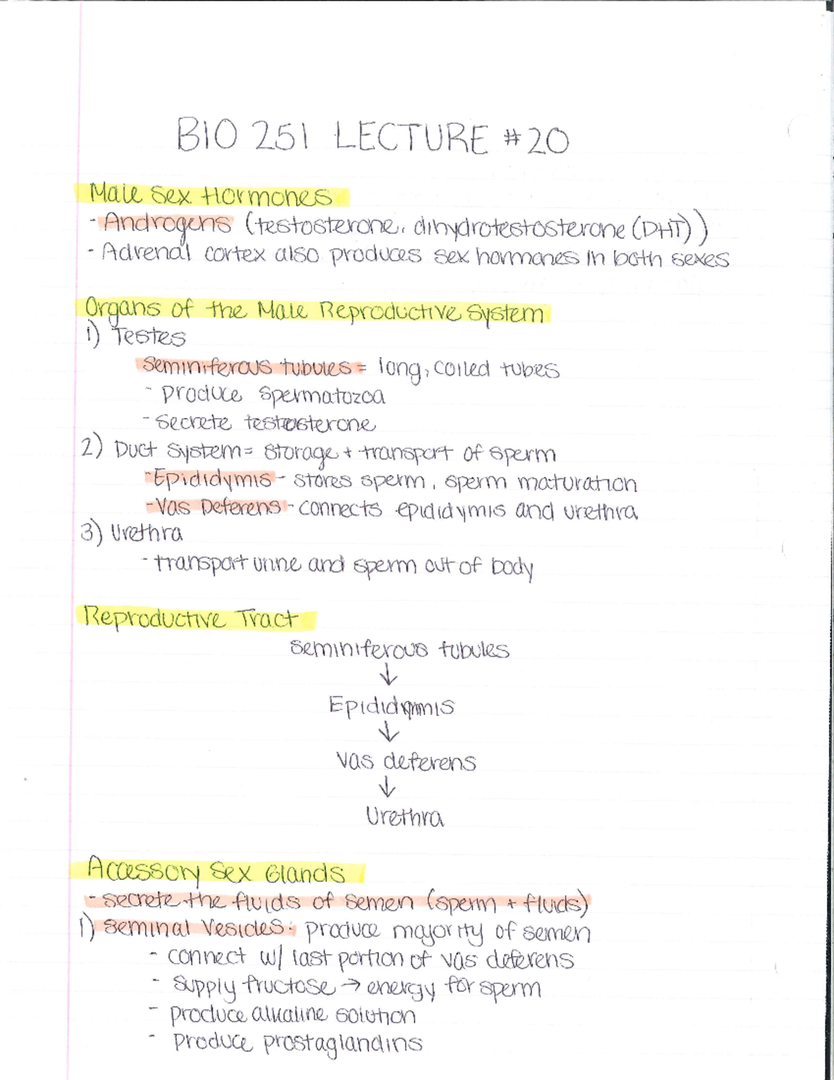 Bio 251 Lecture 20 Biology 251 Studocu