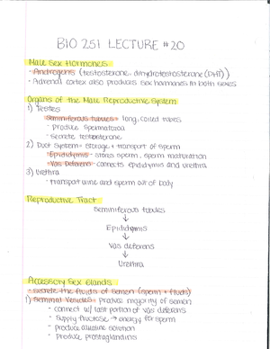 Bio 251 lecture 19 - Biology 251 - Studocu