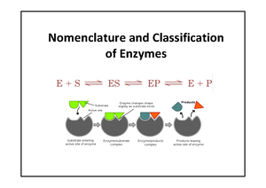 Nomenclature and classification of enzymes - Nomenclature and ...