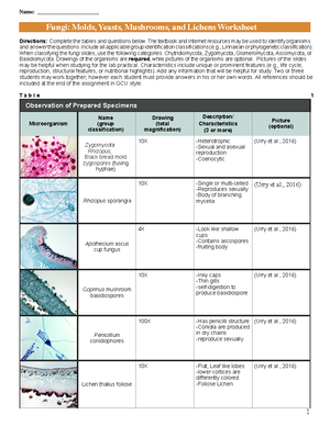 S22 Cell Staining and Microscopy Worksheet - Cell Staining and ...