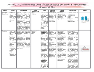 Cronolevel, BETAMETASONA FICHA TECNICA DEL MEDICAMENTO - CRONOLEVEL ...