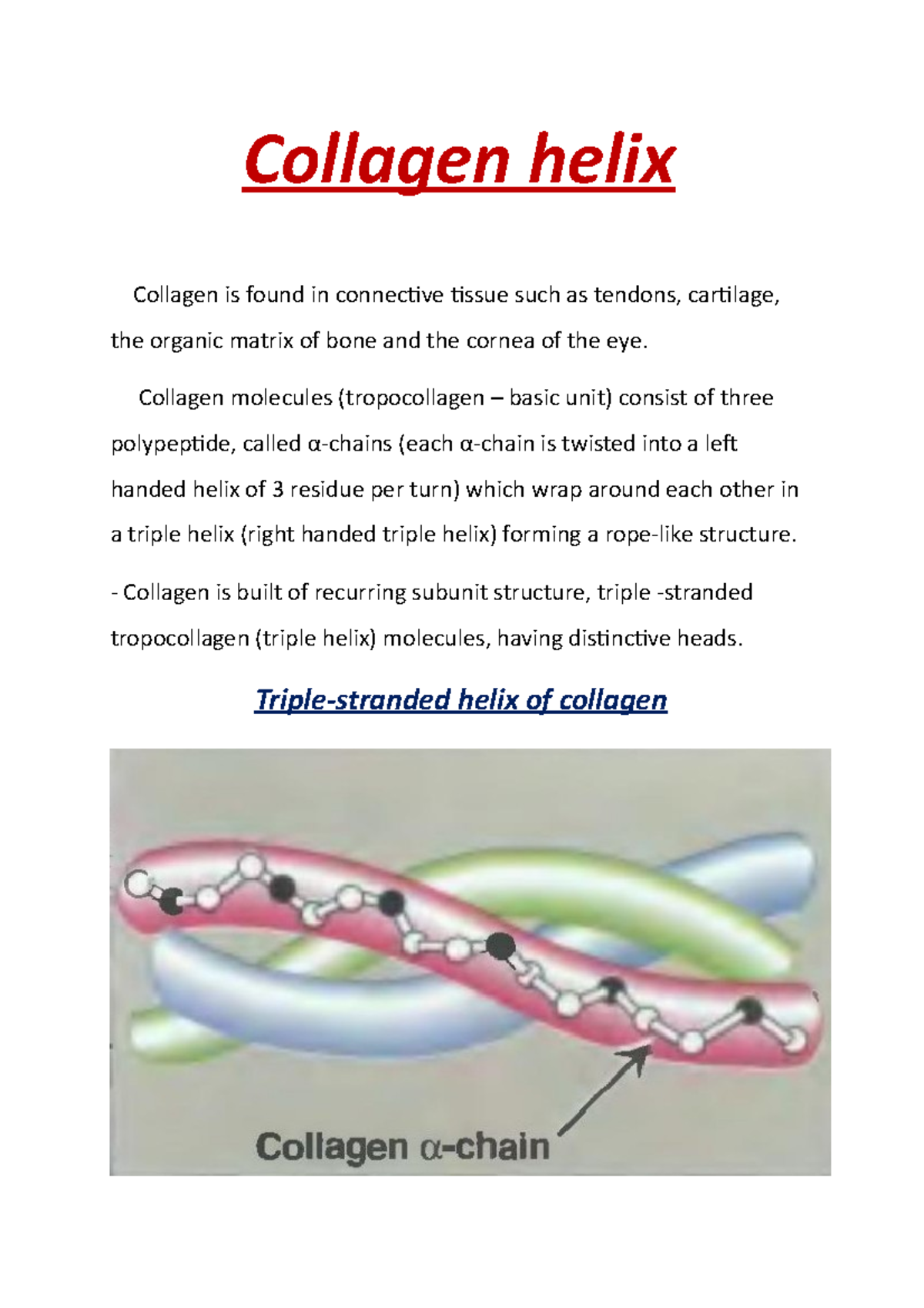 Collagen helix - Collagen helix Collagen is found in connective tissue ...