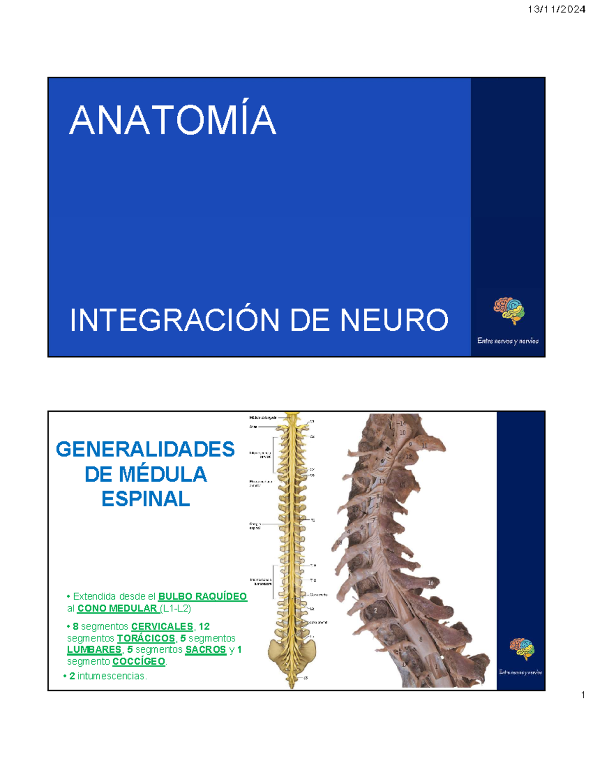 Repaso 3 - Repasso n3 - ANATOMÍA INTEGRACIÓN DE NEURO GENERALIDADES DE ...