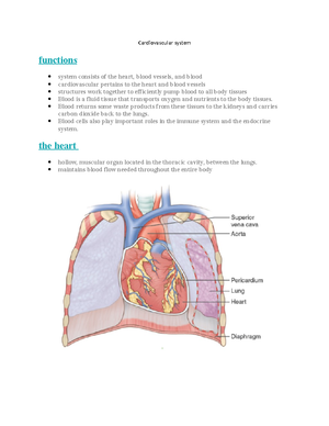 Chapter 8 - hcc med term - notes - Digestive system Structures of the ...