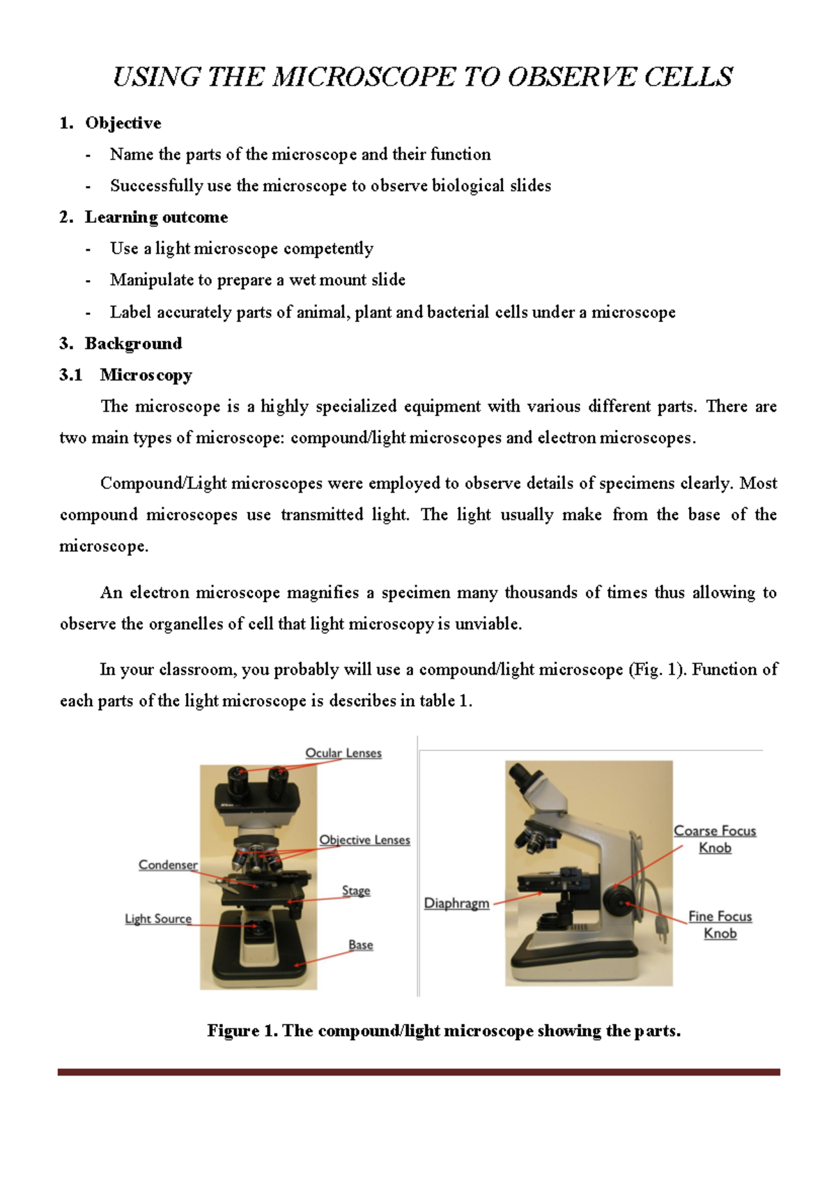 Using THE Microscope TO Observe Cells MINH DAI - USING THE MICROSCOPE ...
