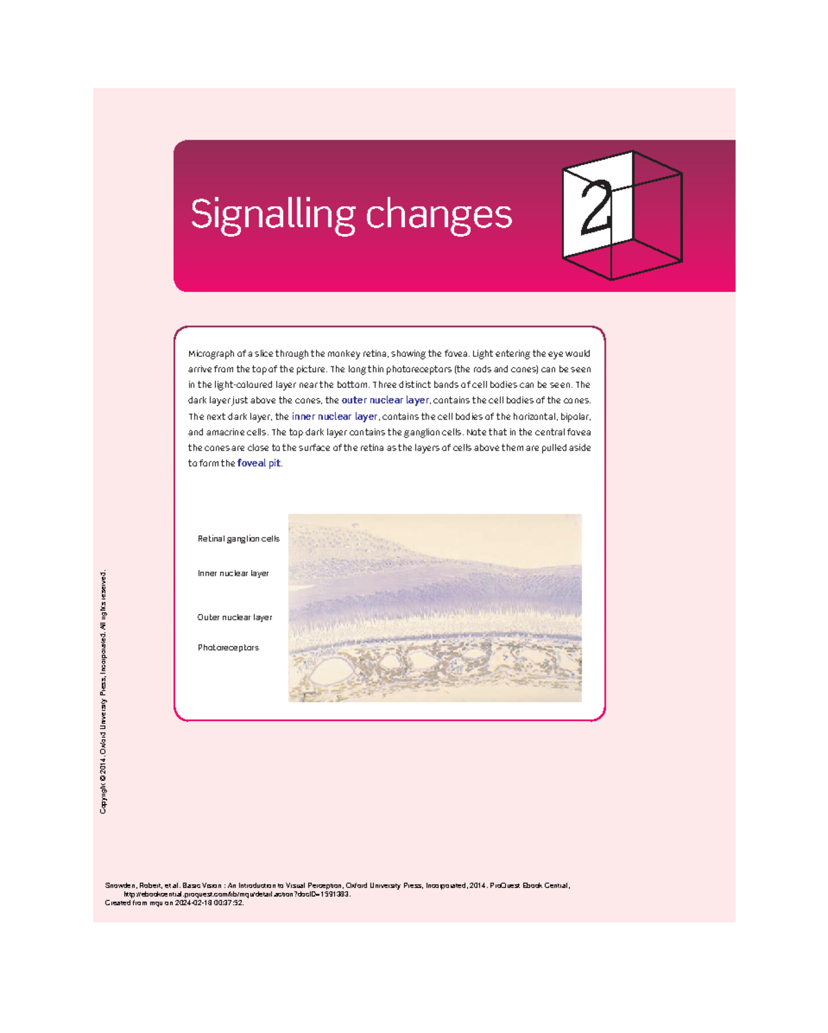 Basic Vision An Introduction to Visual Perception - (2 Signalling ...