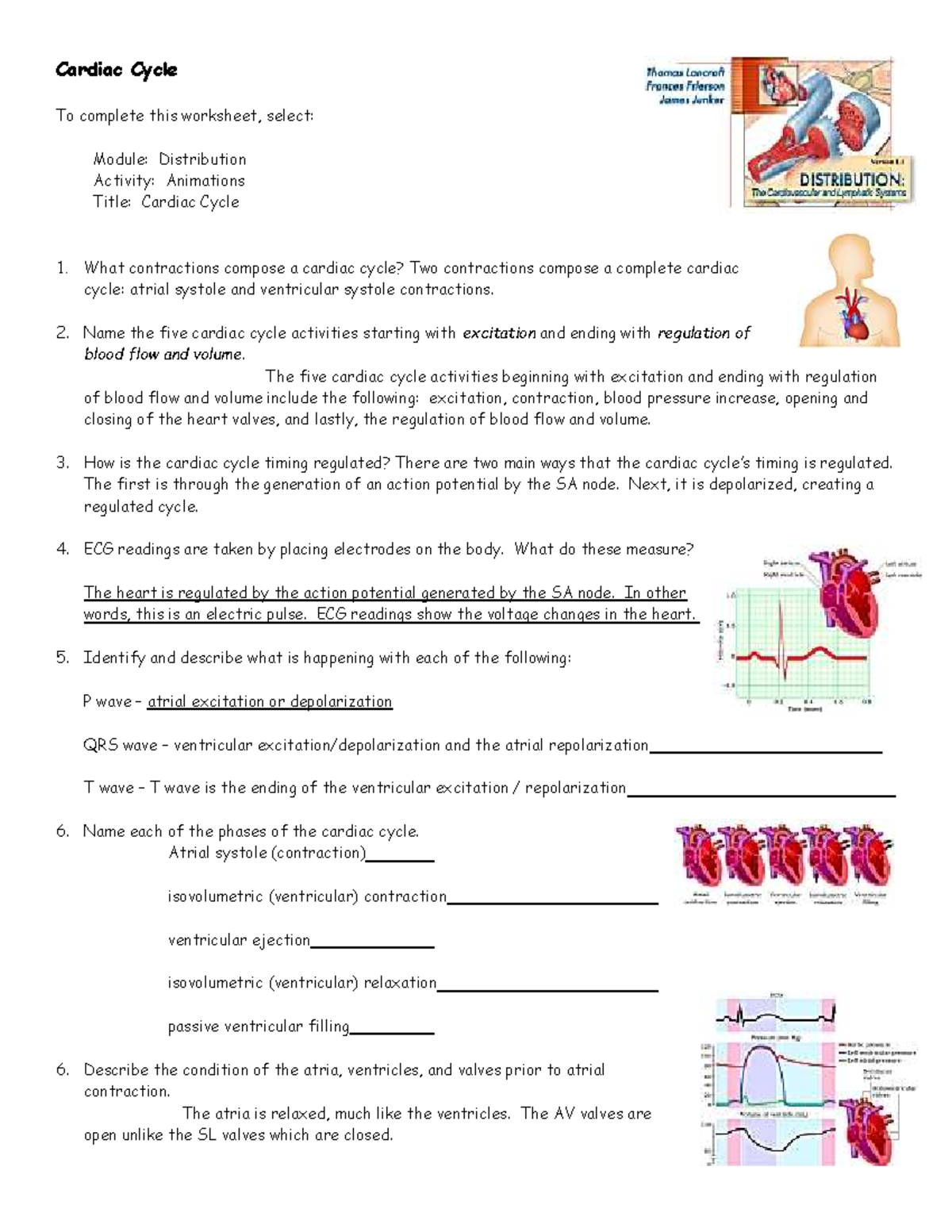Bio291 r2 ch - Worksheet - Cardiac Cycle To complete this worksheet ...