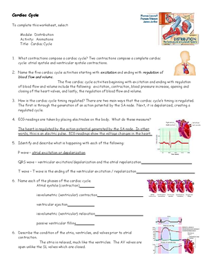 Bio291 v3 wk4 the carbohydrates lab report - BIO/291 v Carbohydrates ...