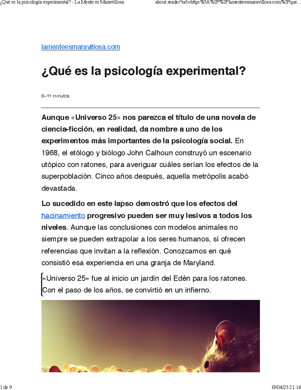 Qué es la psicología experimental - Copy - lamenteesmaravillosa ¿Qué es ...
