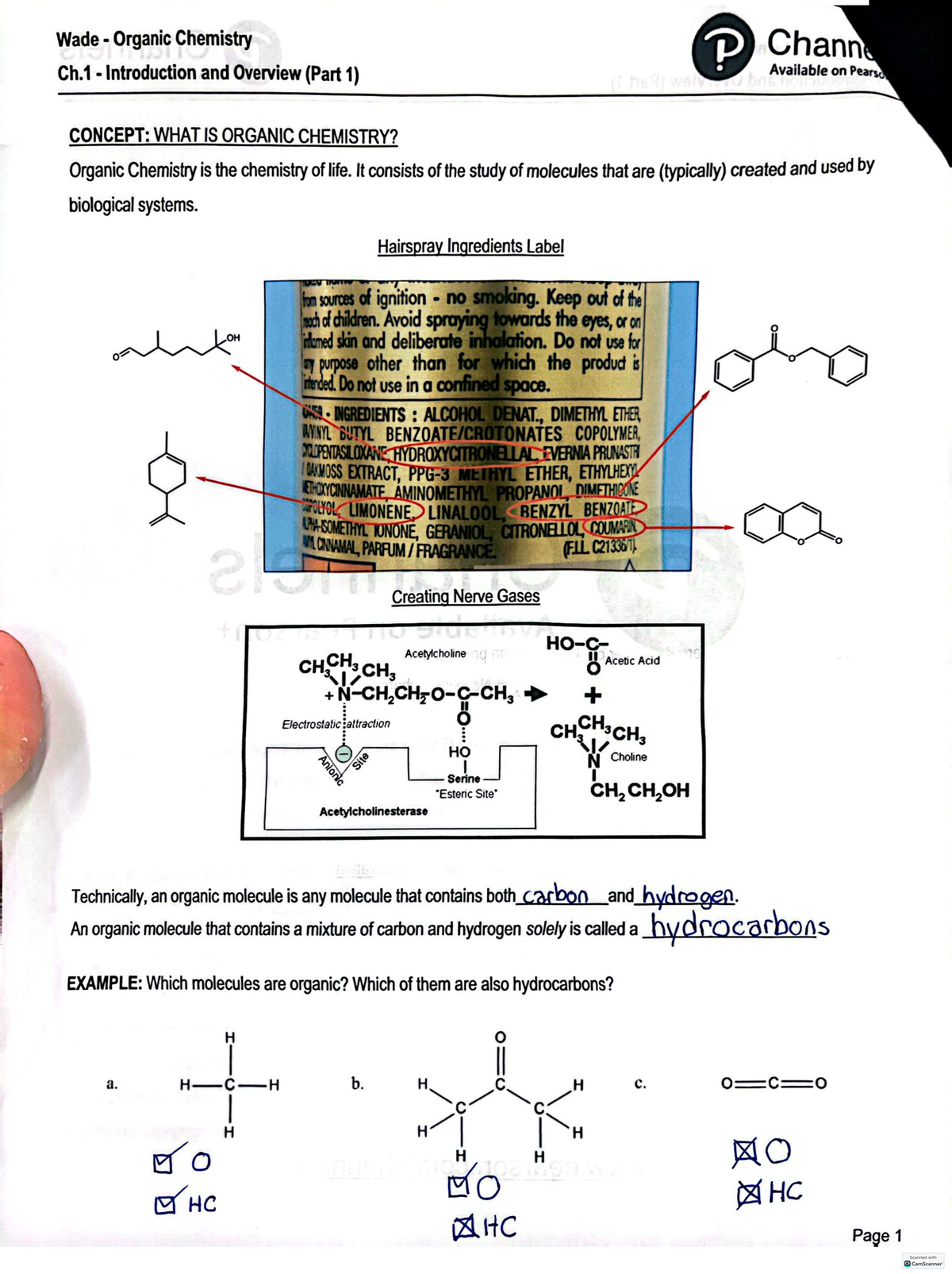 OChem Chap 1 review - political issues in the united states - Wade ...