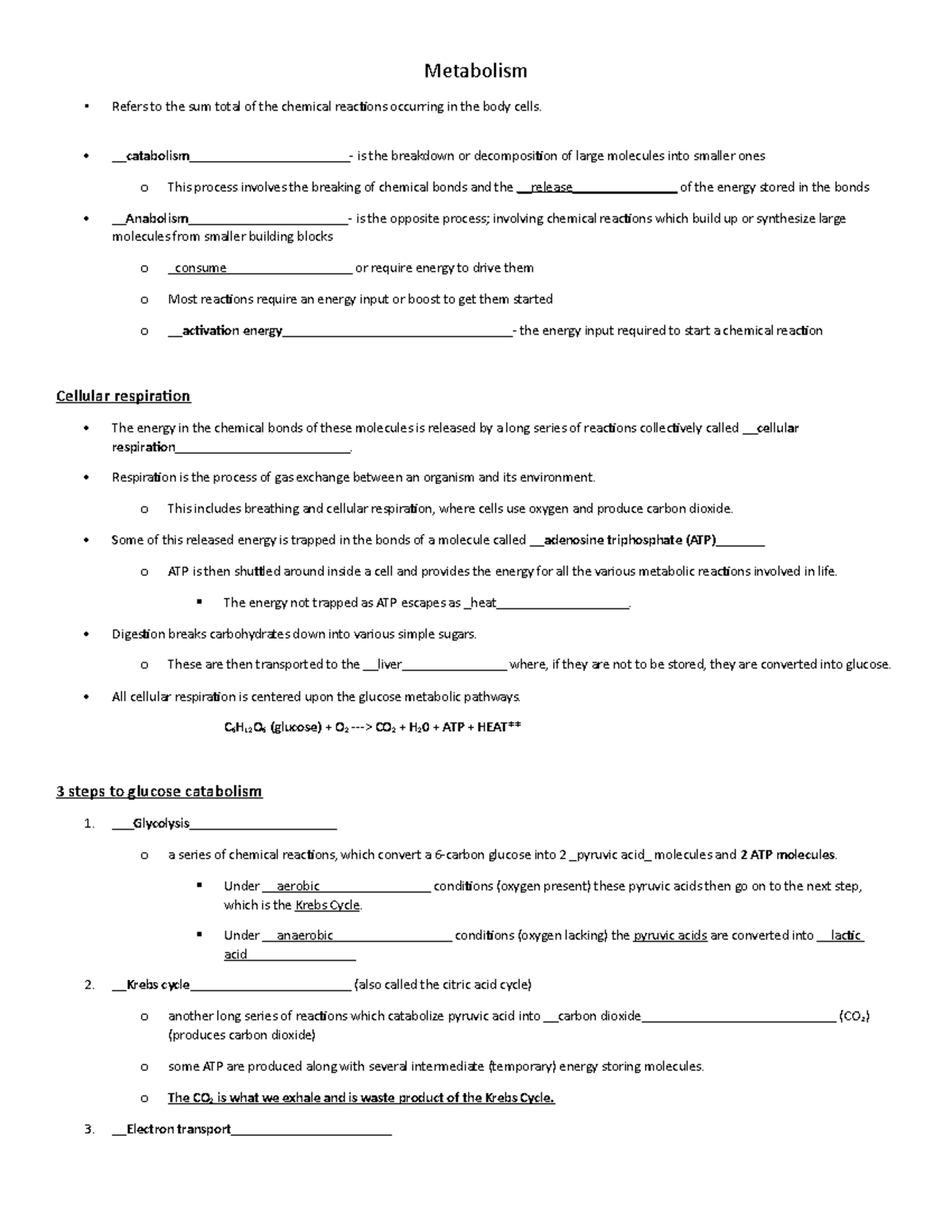 Metabolism - completed summer notes - Metabolism • Refers to the sum ...