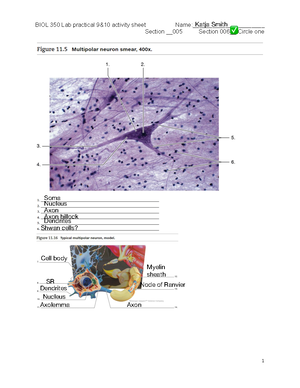 X-Ray Reading - Anatomy Lecture Notes - X-RAY READING 4 items to ...
