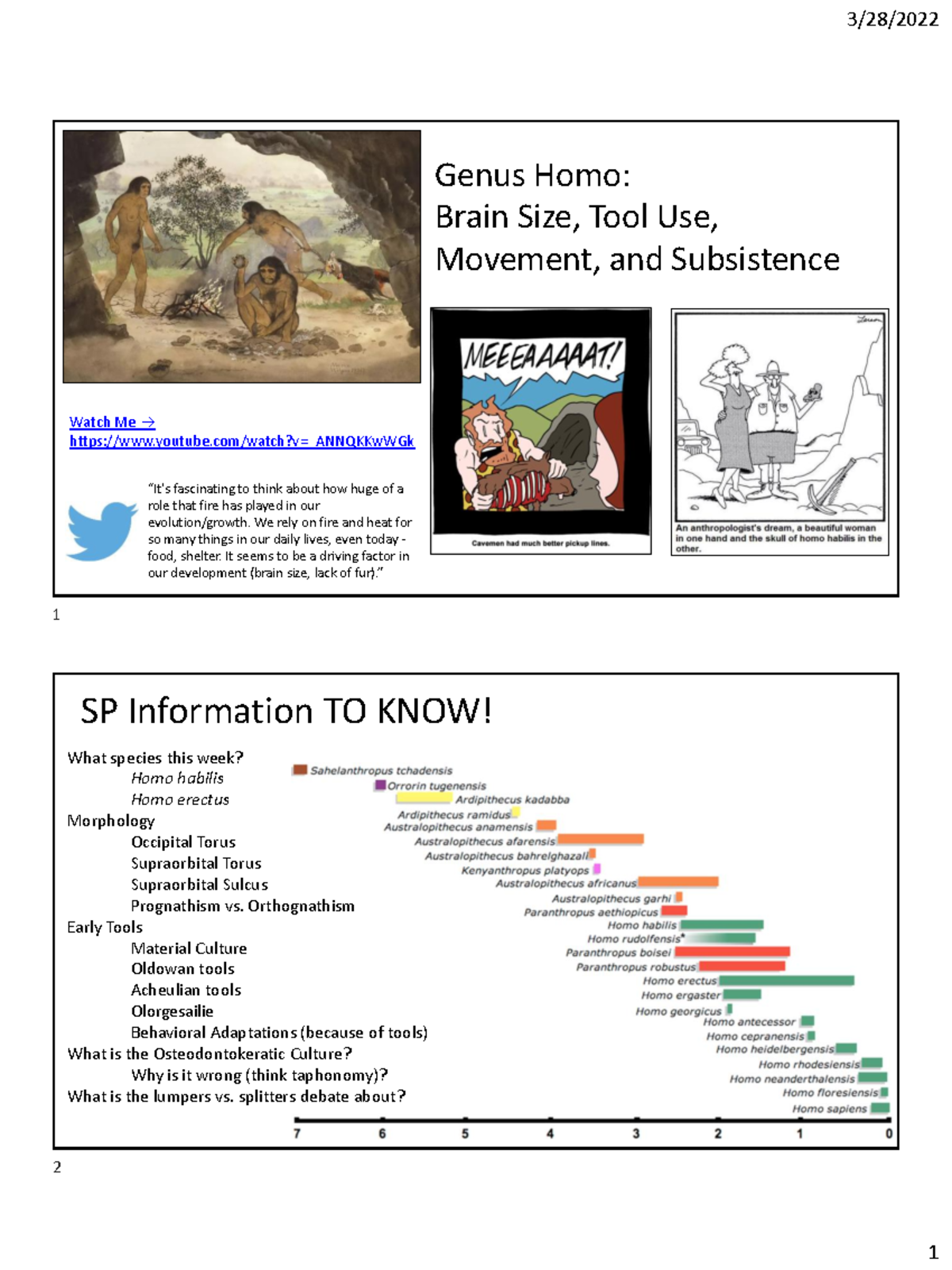 Lecture 11 Week 11 Early Genus Homo(2) - 3/28/ ####### Genus Homo ...
