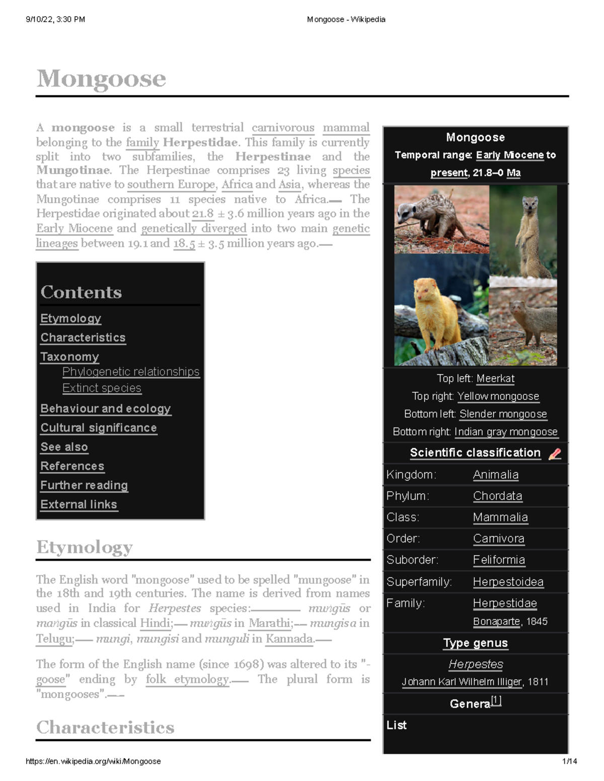 Mongoose - Wikipedia - Please give as much additional information as ...