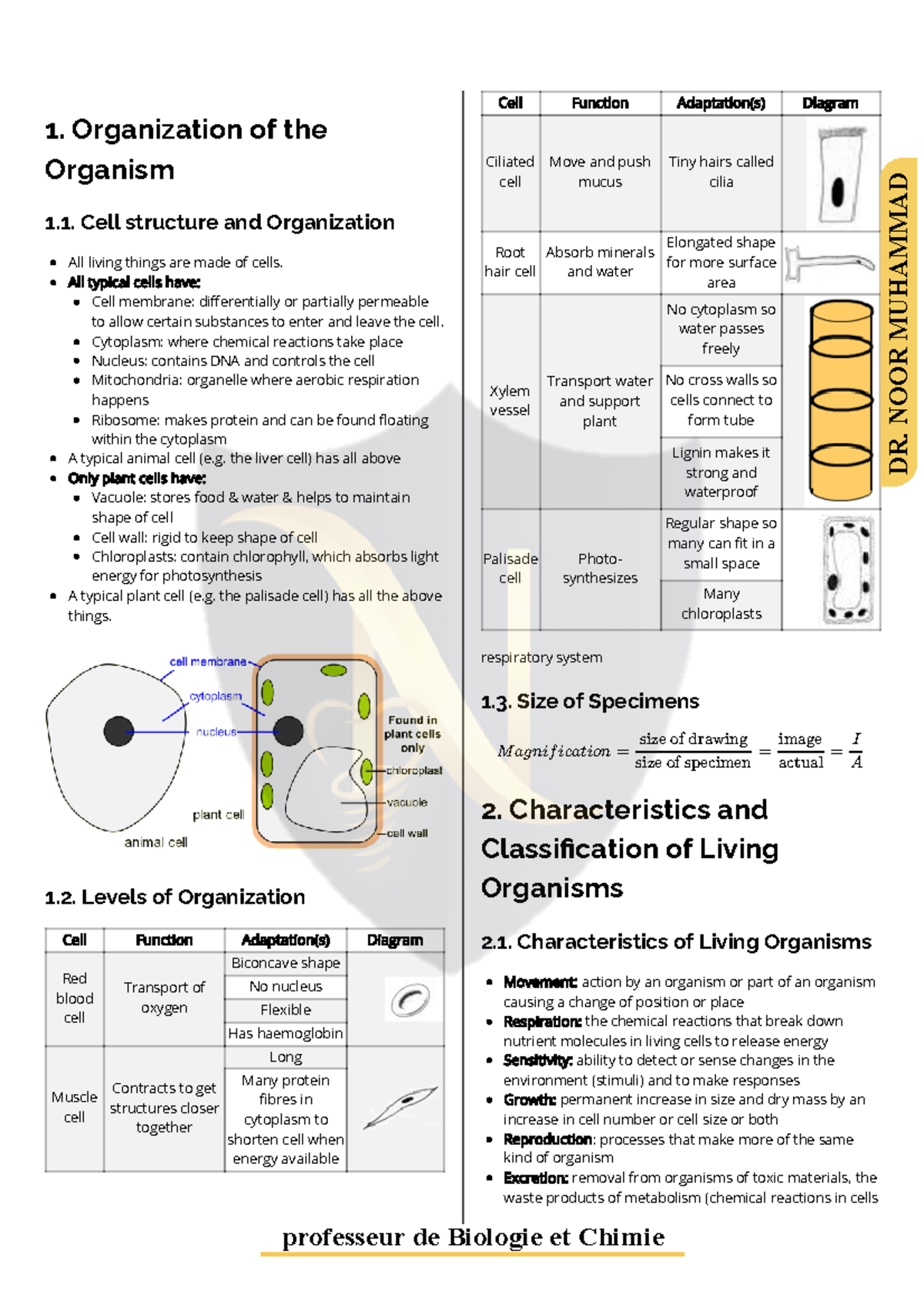 bio summarize notes for revision - 1. Organization of the Organism 1 ...