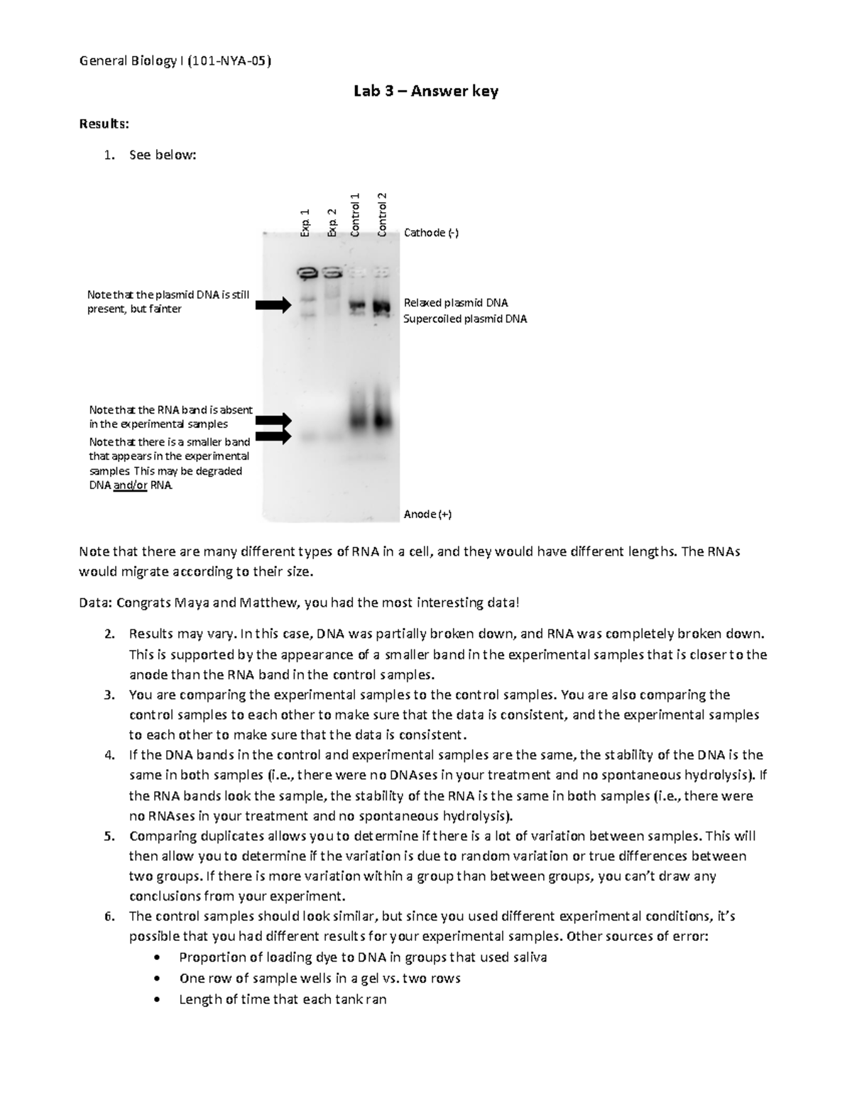Lab 3 Answer Key General Biology I 101 Nya 05 Lab 3 Answer Key Results 1 See Below Note