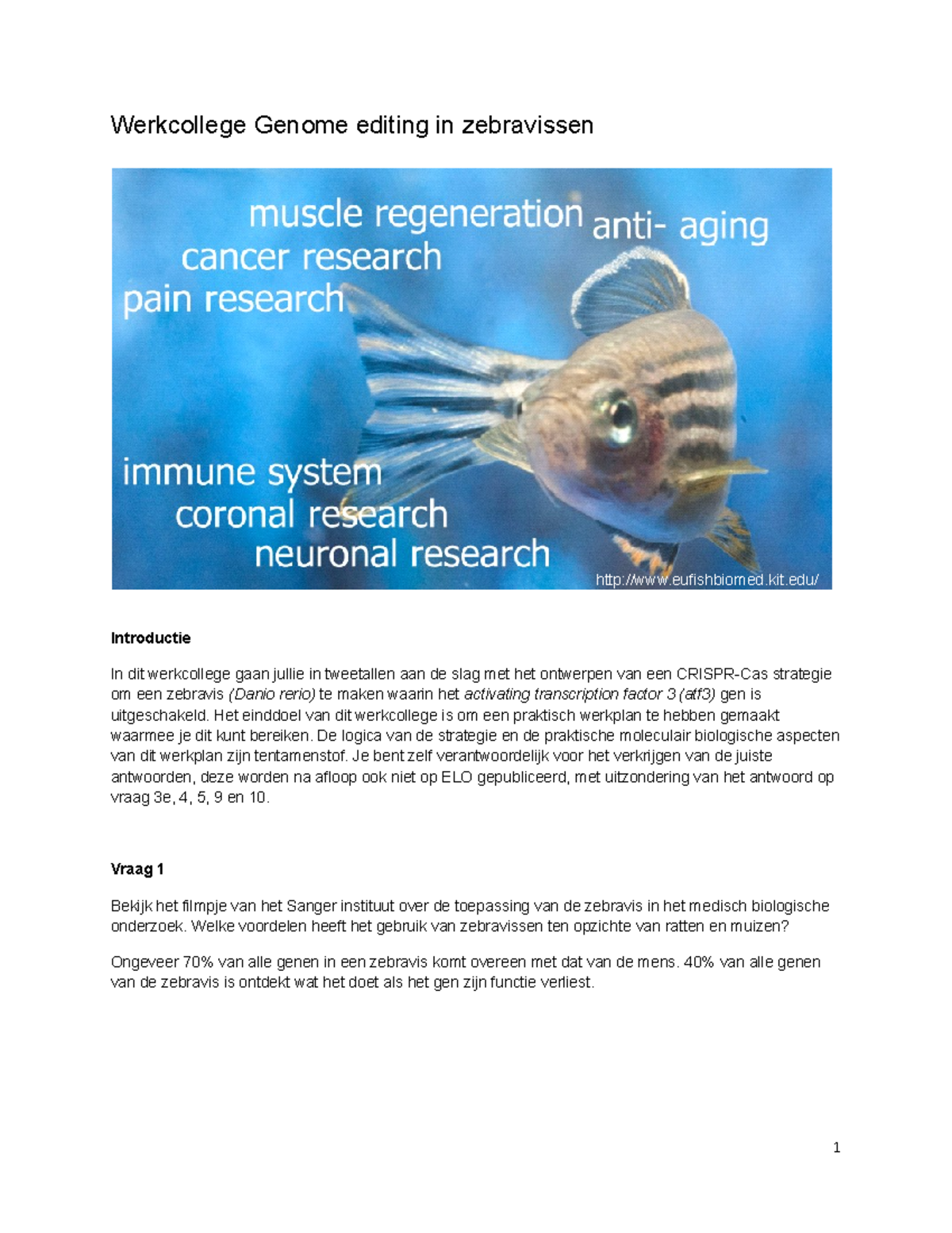 Werkcollege 1 B09GEN genome editing zebravis 20-21 - Werkcollege Genome ...