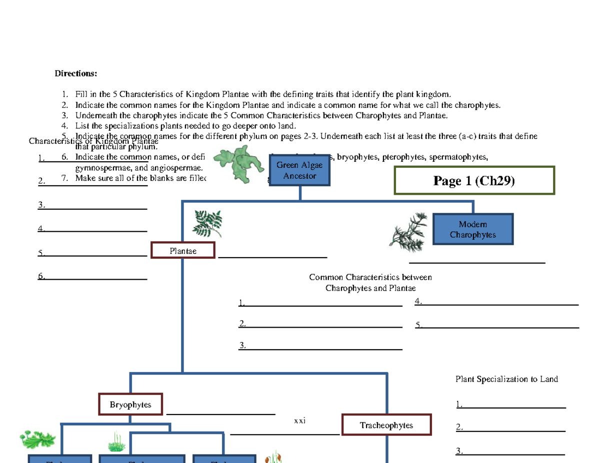 07 Bio 102 Plant Taxonomy Flow Charts(1) - xxi Directions: Fill in the ...