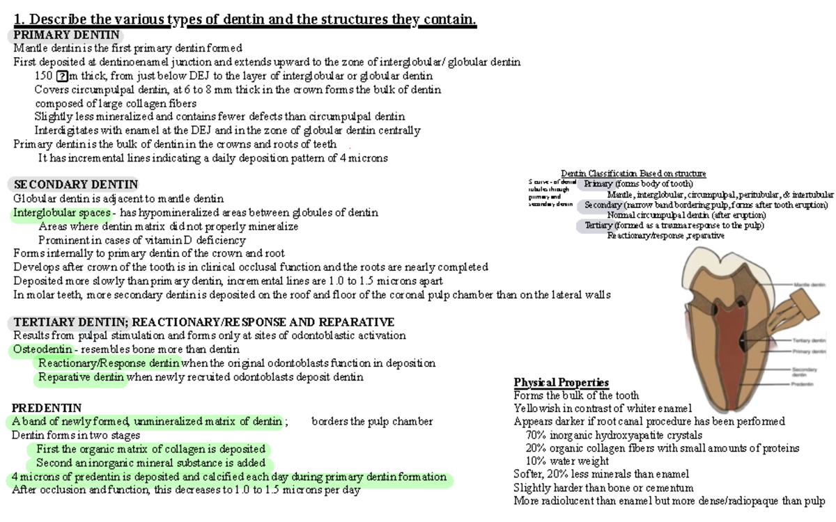 OEH CH8 - Fall 2022 Mrs. Van - 1. Describe the various types of dentin ...