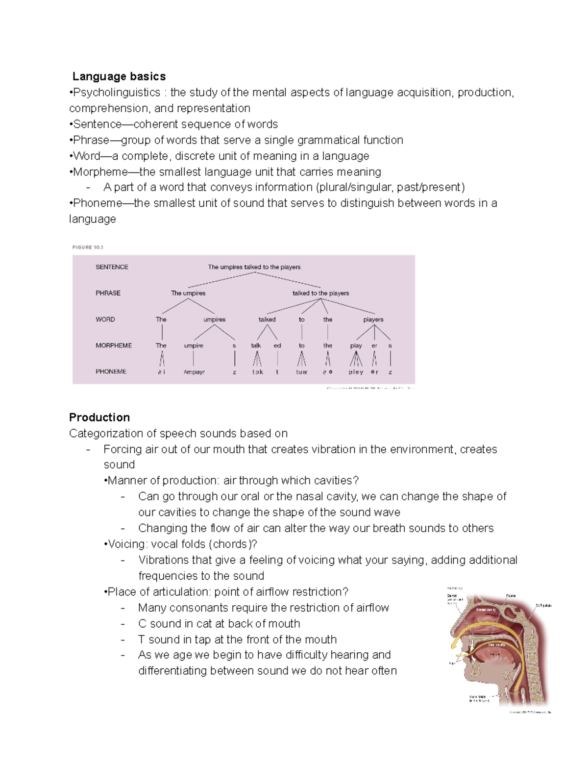 Language - Chapter 10 - Cognitive Psychology PSYC *2650 - Language basics •Psycholinguistics ...