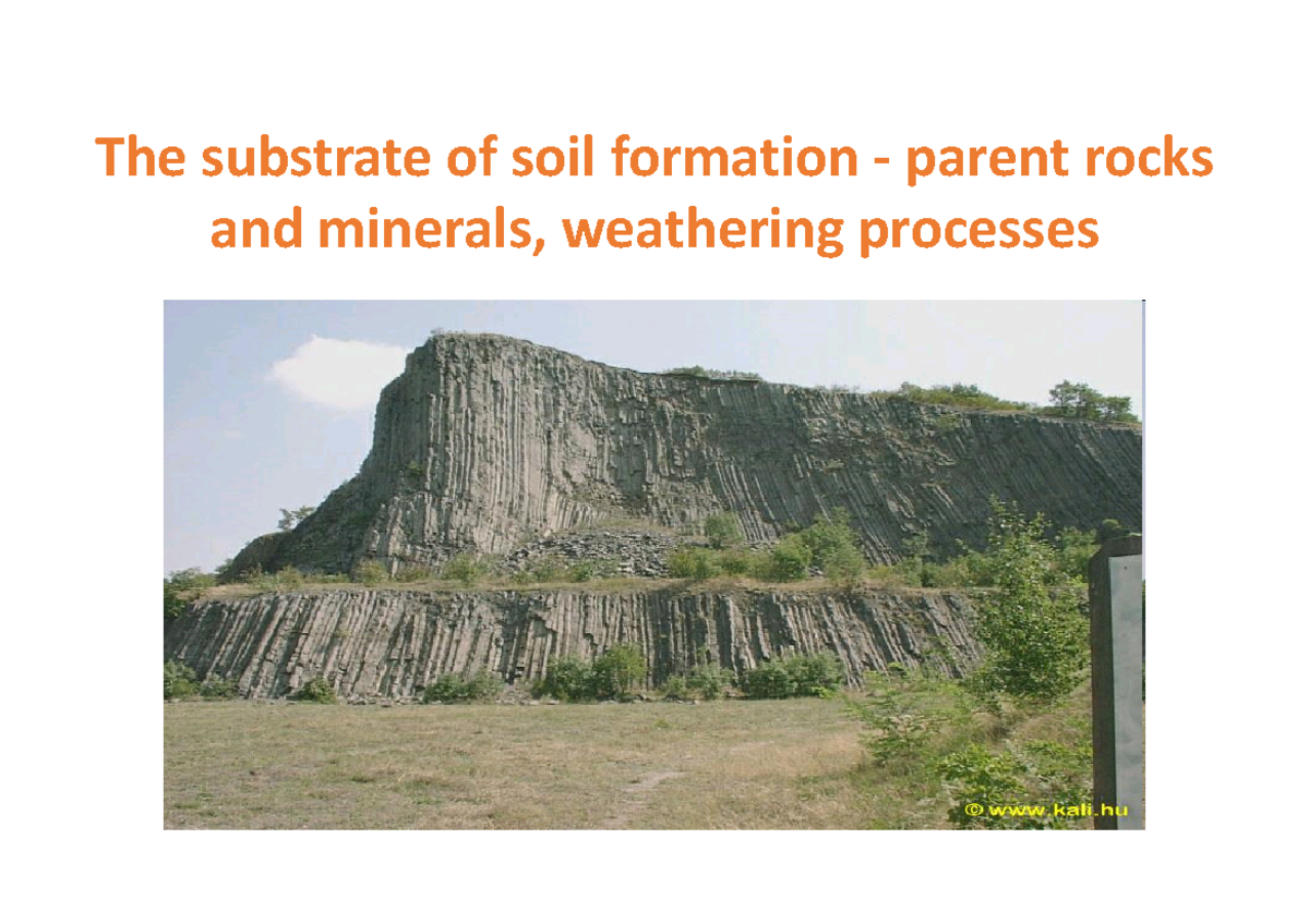 Soil science topic 2 - about soil layers - The substrate of soil ...