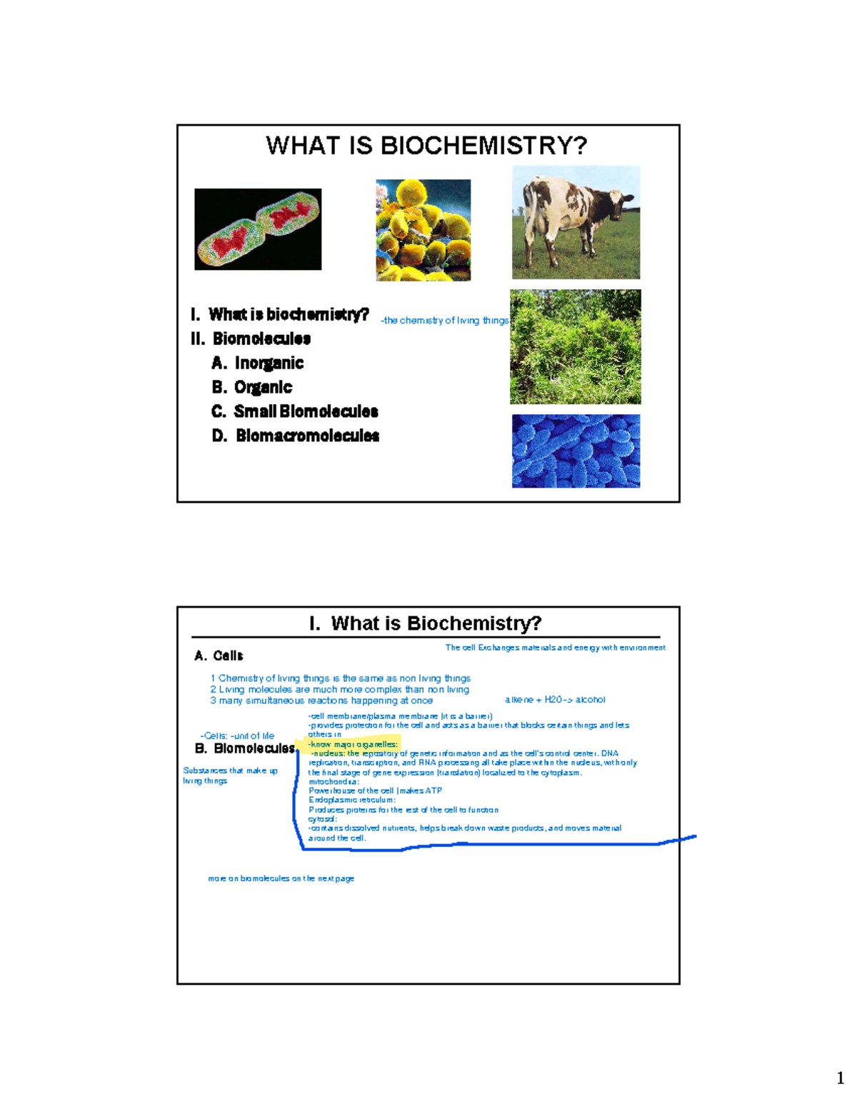 1. What is biochemistry (completed) - WHAT IS BIOCHEMISTRY? I. What is ...