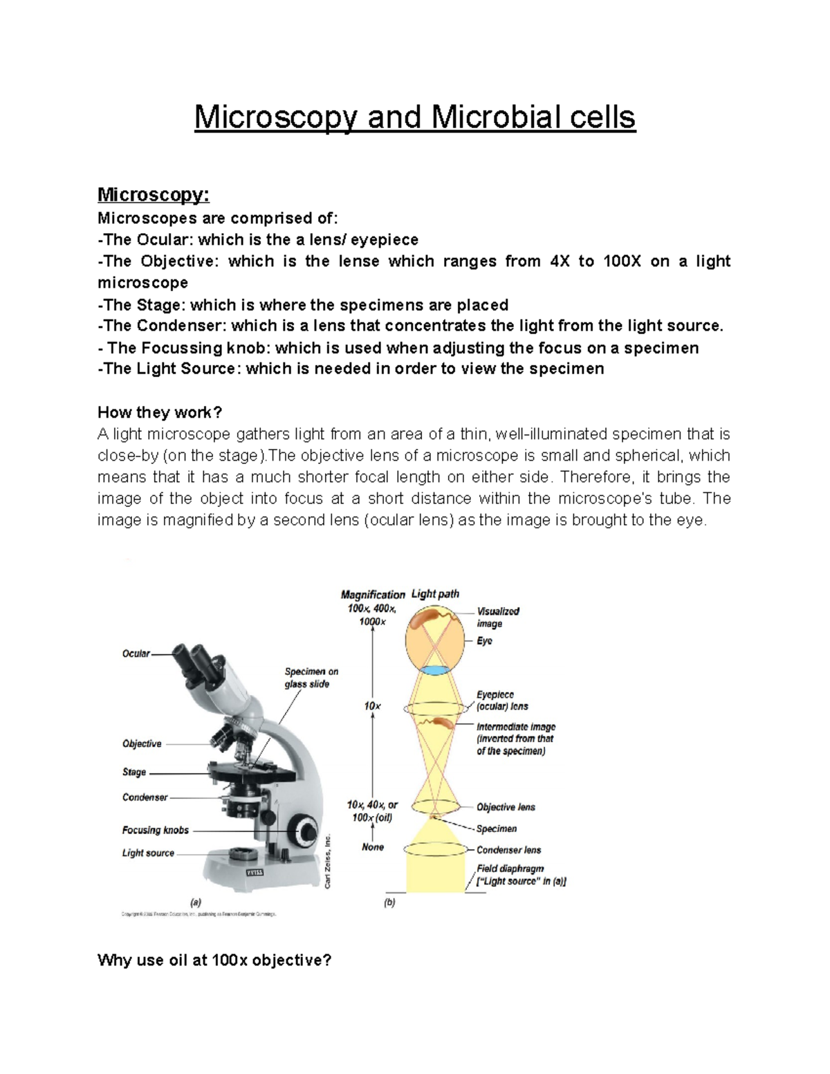 Microscopy and Microbial cells - The Focussing knob: which is used when ...