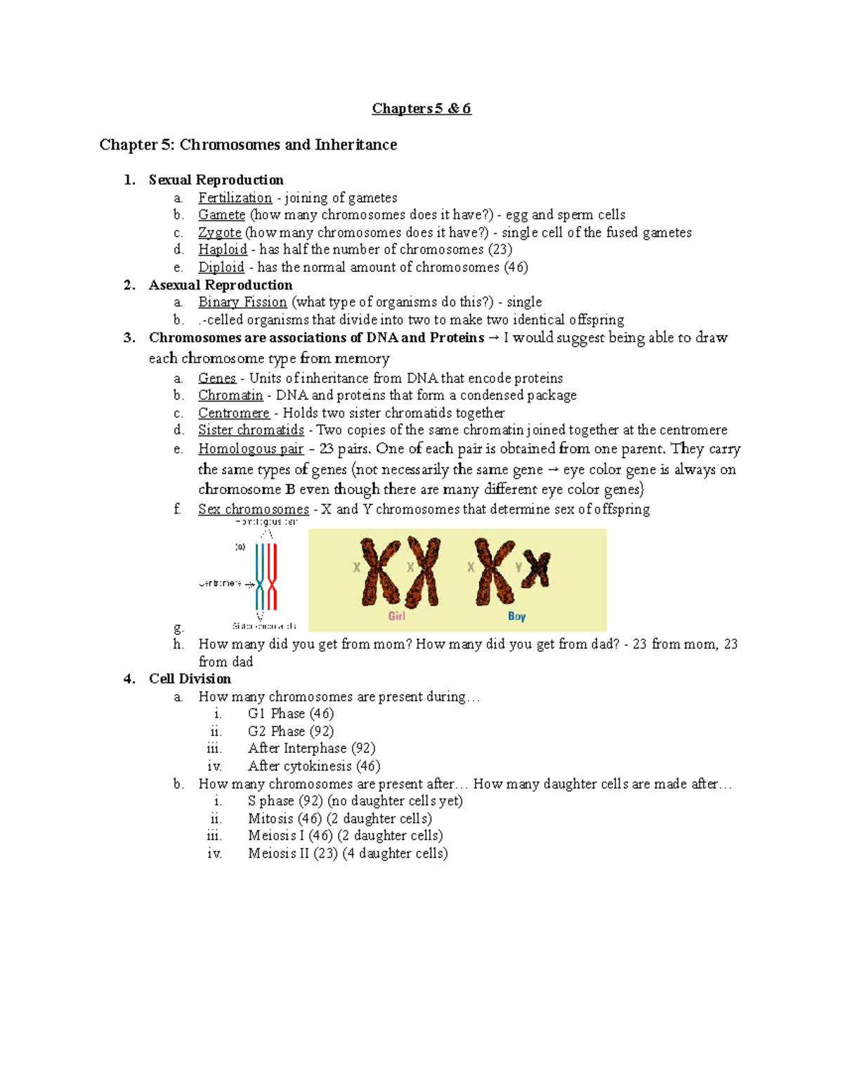 Exam 2 Recitation Study Guide - Chapters 5 & 6 Chapter 5: Chromosomes ...