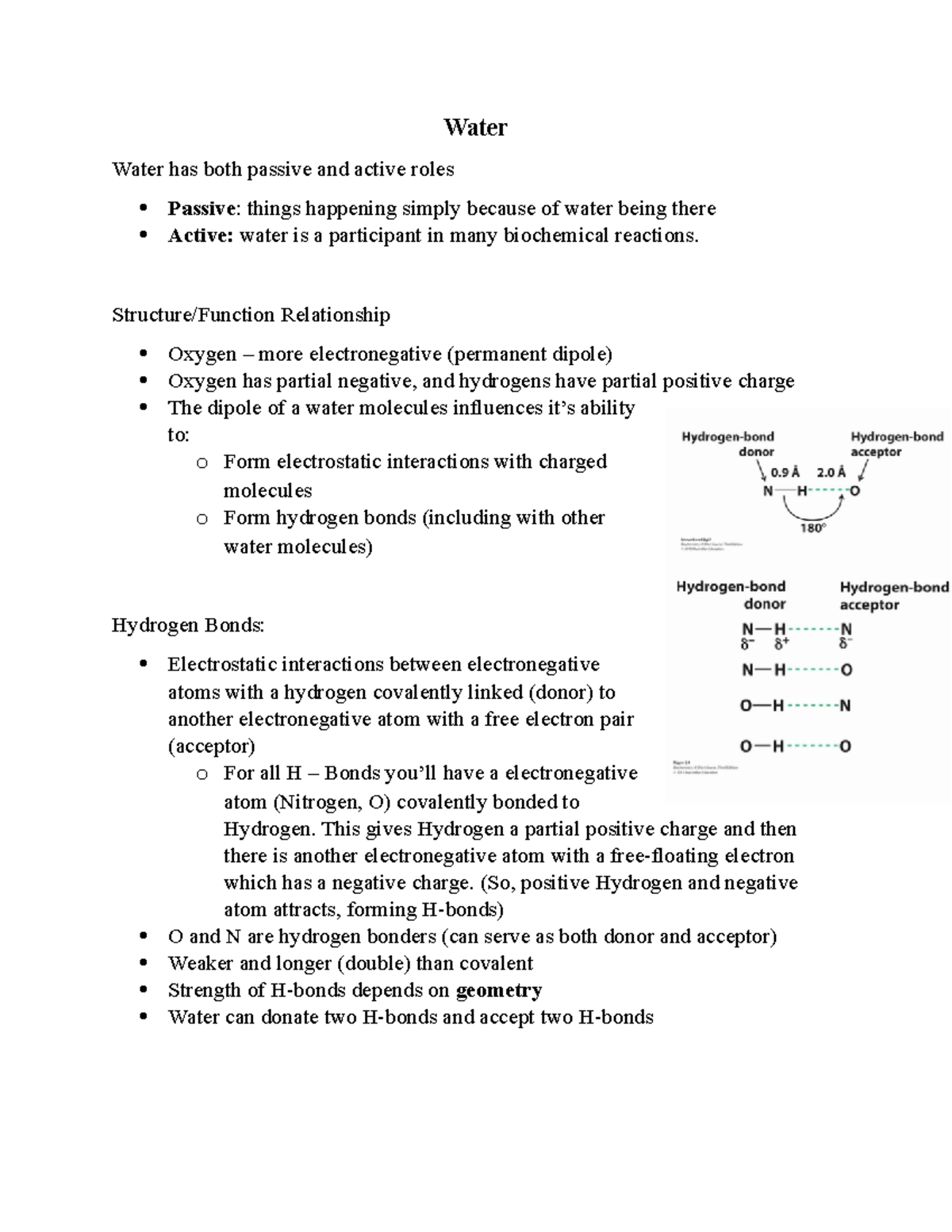 Chapter 2 - Scott Napper Notes - Water Water has both passive and ...