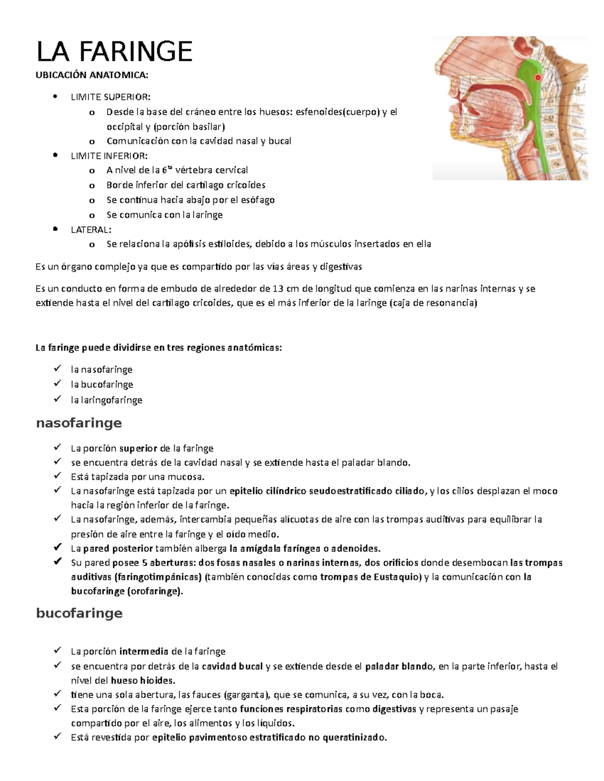 La faringe - LA FARINGE UBICACIÓN ANATOMICA: LIMITE SUPERIOR: o Desde ...