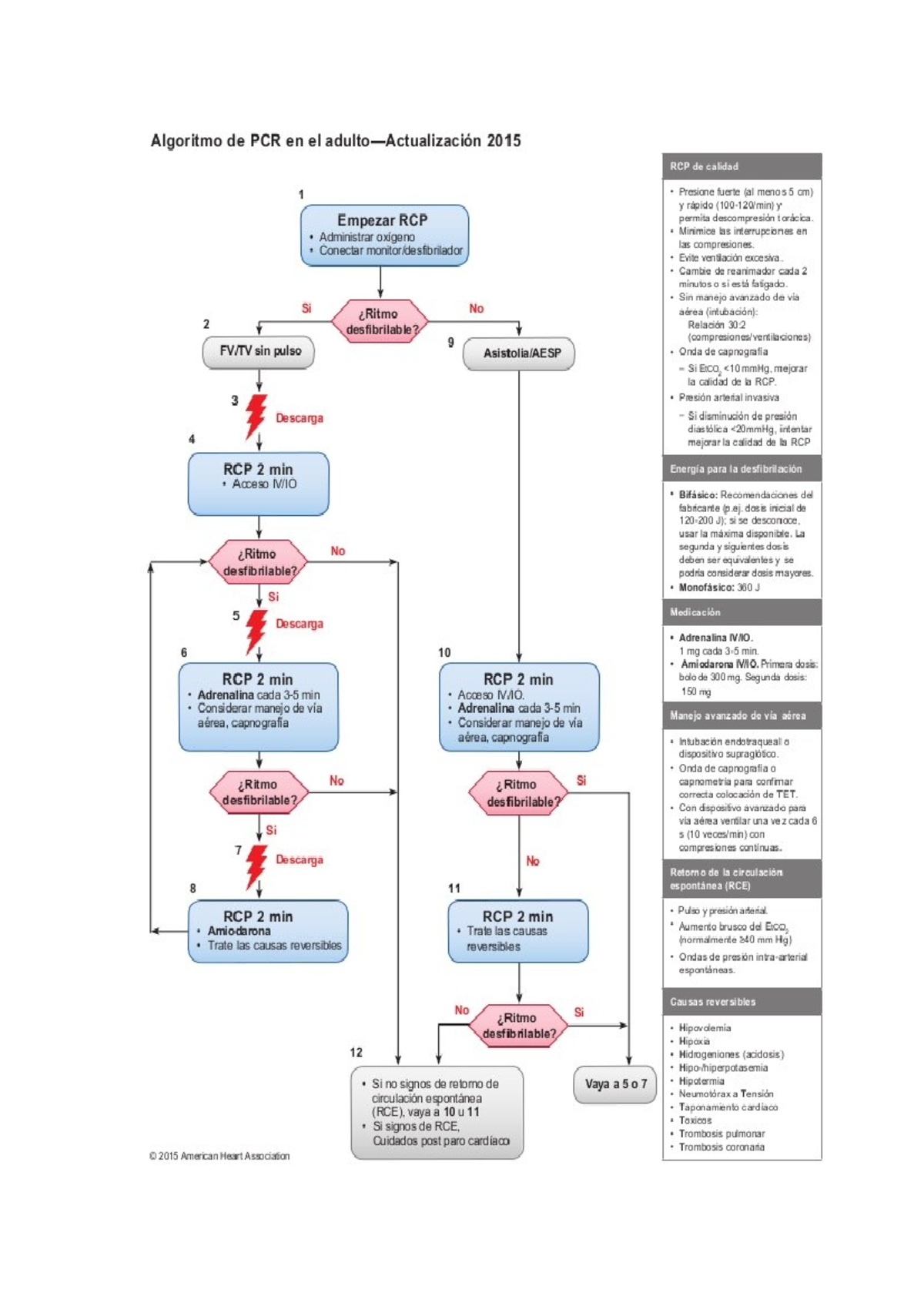 Algoritmo AHA - AHA - Primeros Auxilios - Studocu