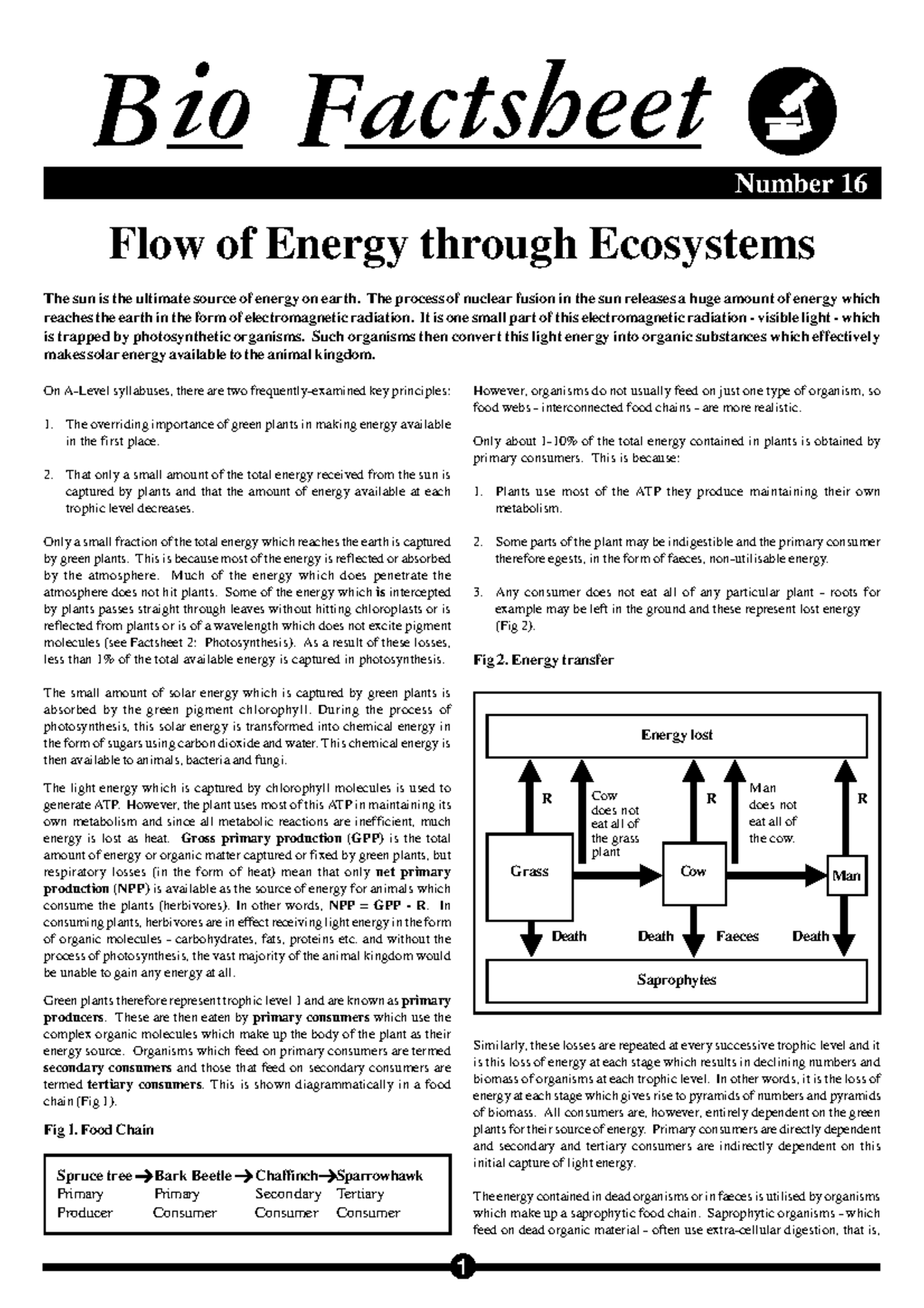 016 - Flow of Energy through Ecosystems - Bio Factsheet January 1998 ...