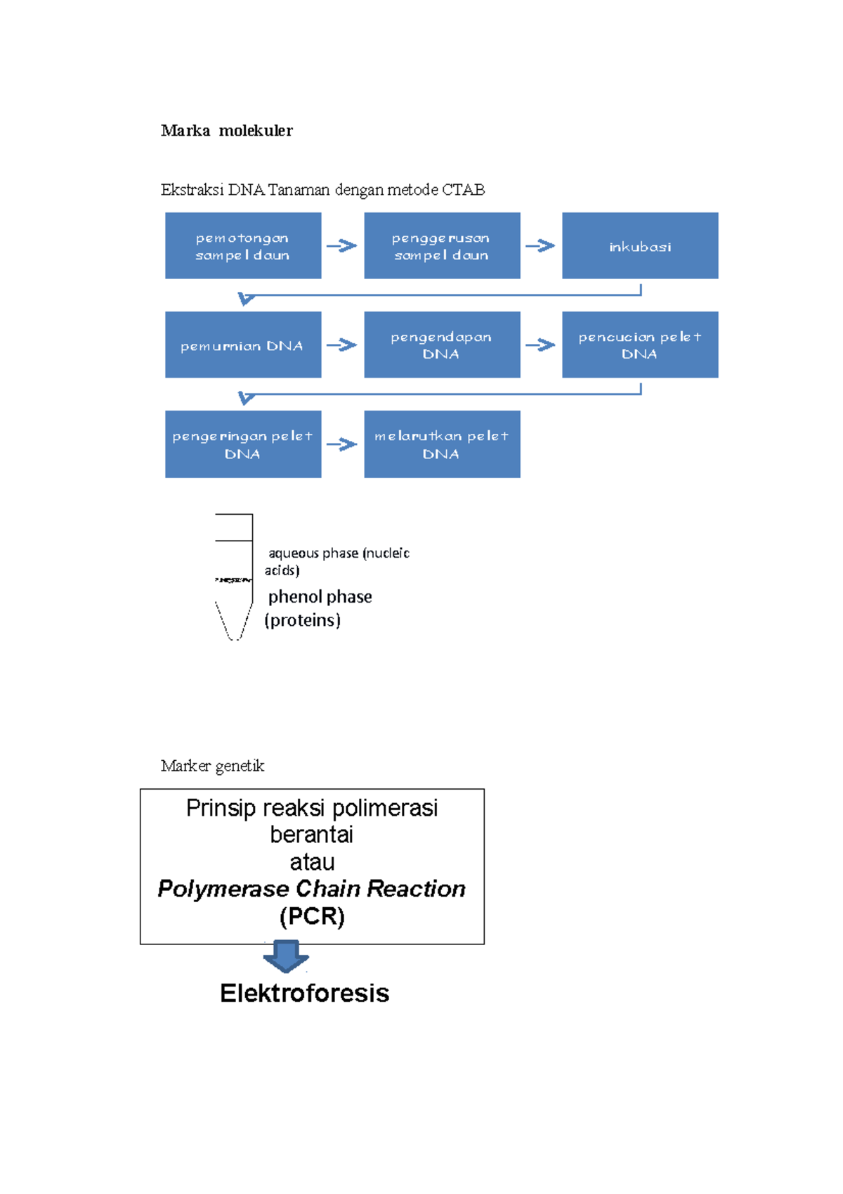 Marka molekuler - Marka molekuler Ekstraksi DNA Tanaman dengan metode CTAB Marker genetik ...