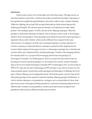 Bio Chapter 6 - BIO 1510 - Studocu