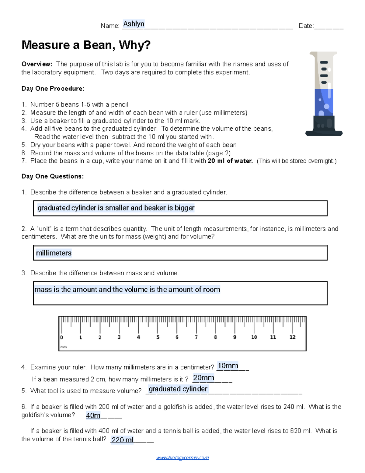 Ashlyn Clemens - Measure a Bean (BC) - Name