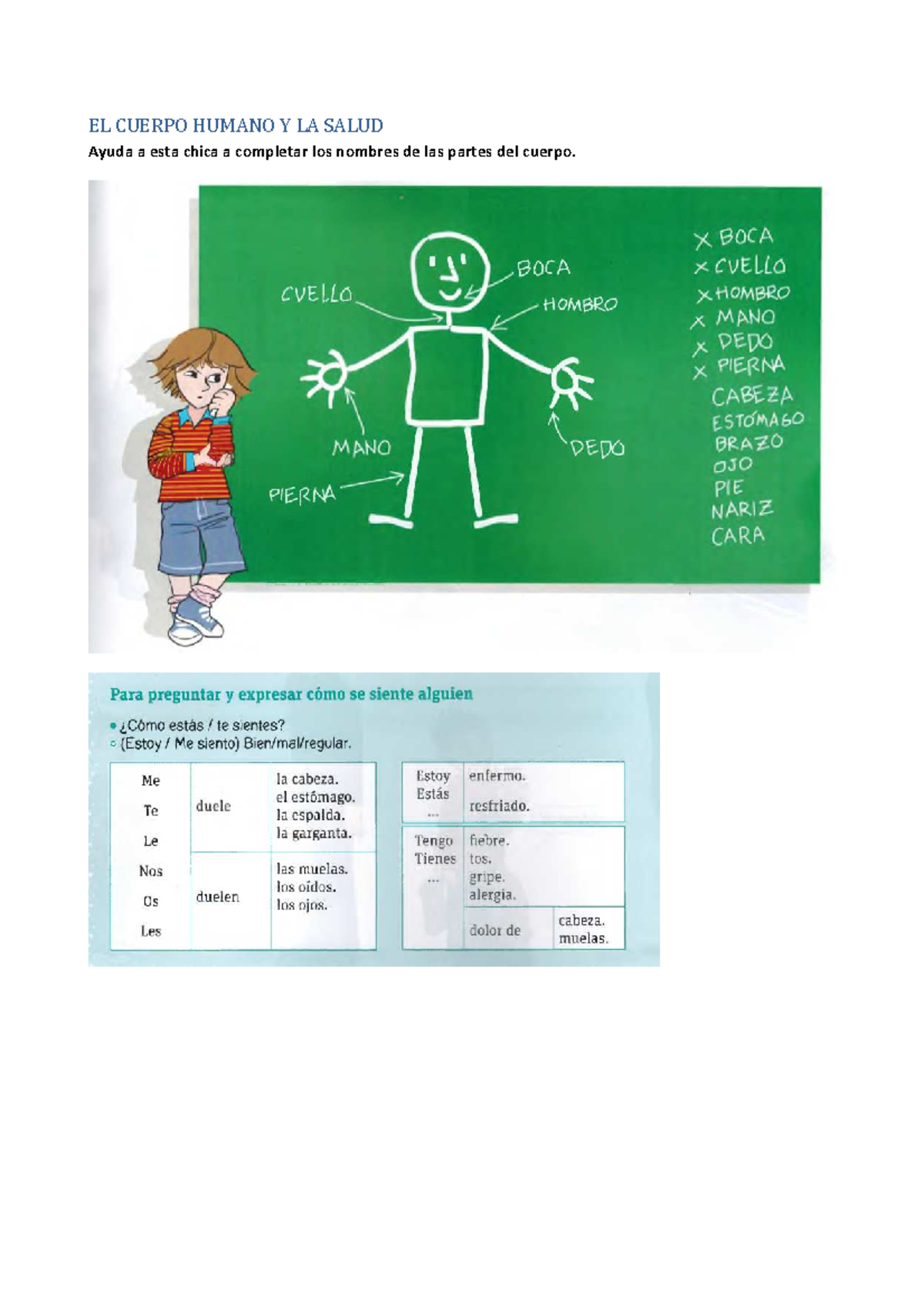 EL Cuerpo Humano Y LA Salud - EL CUERPO HUMANO Y LA SALUD Ayuda a esta ...