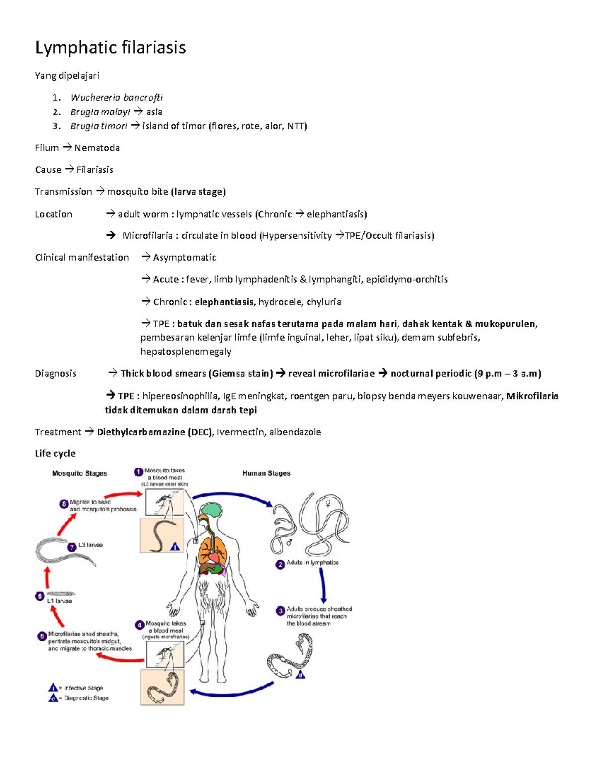 Lympathic Filariasis - Lymphatic filariasis Yang dipelajari Wuchereria ...