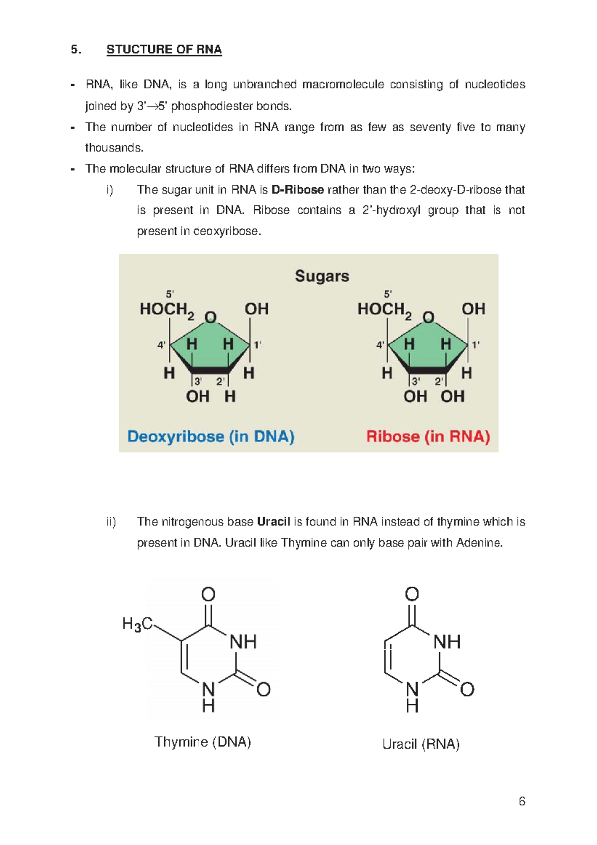 BIOC201 - Nuclein Acid DNA Protein synthesis Part 2 - 5. STUCTURE OF ...