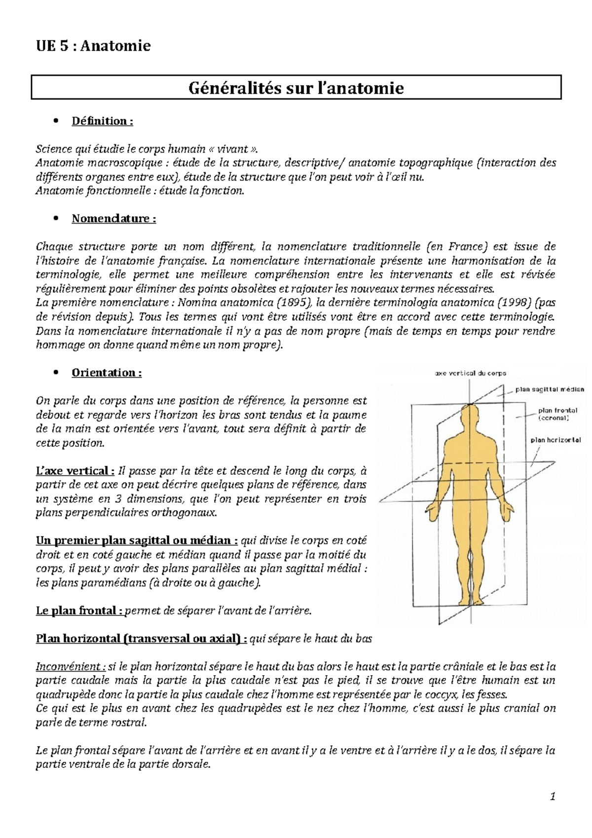 Cours PACES - Généralités sur l'anatomie humaine - UE 5 : Anatomie ...