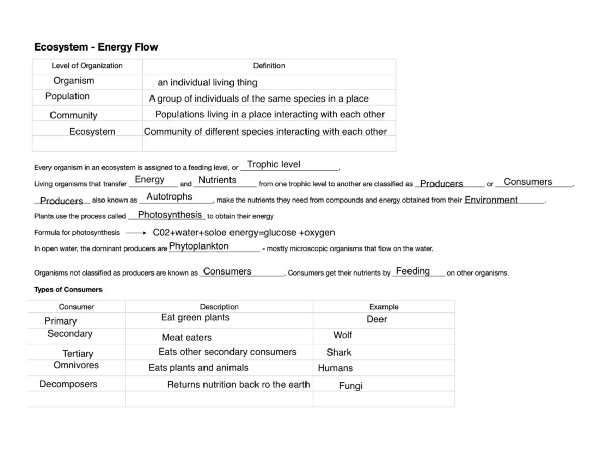 Energy Flow Notes -1 - Nah - Ecosystem Energy Flow Level of ...