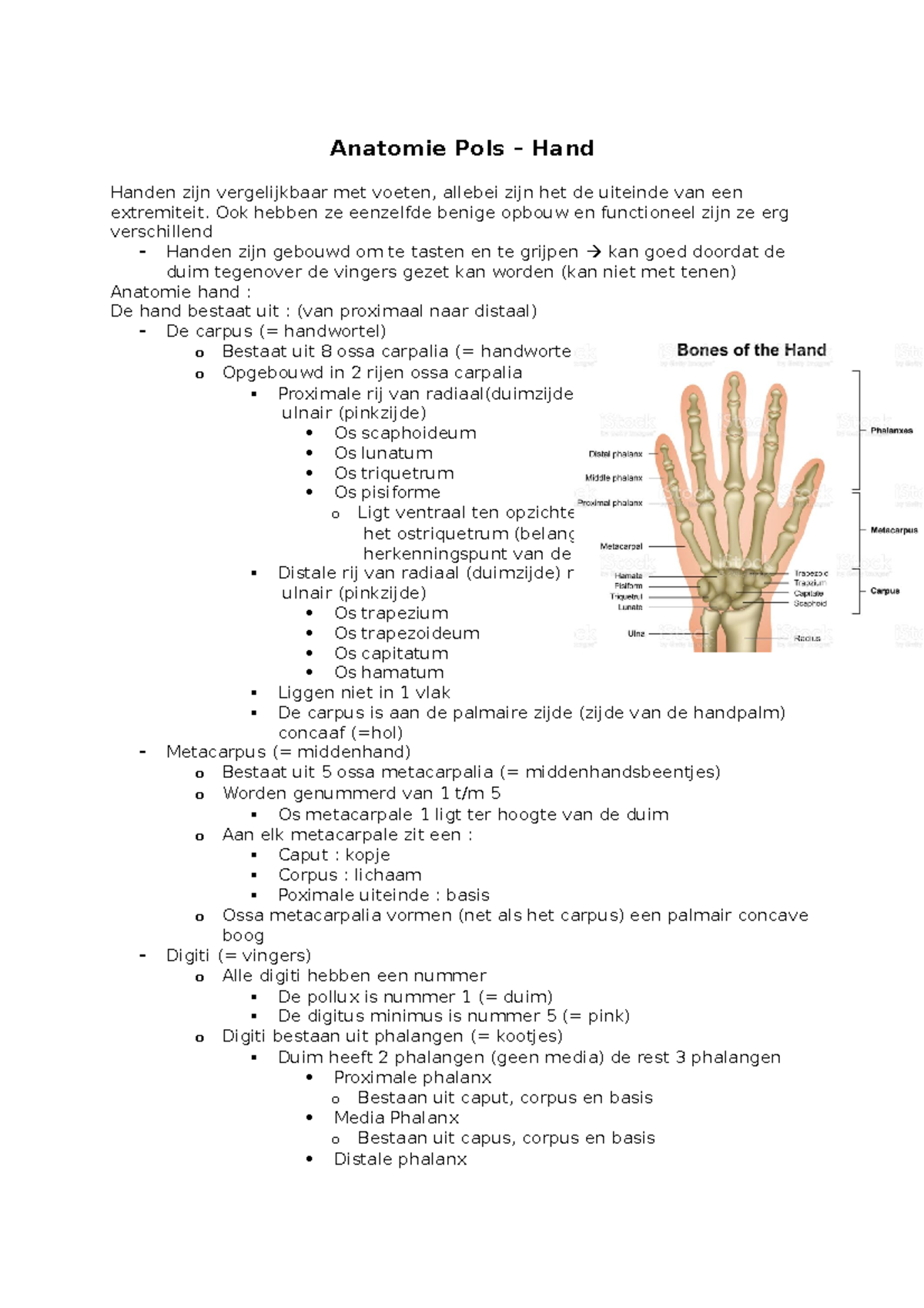 Anatomie Pols-Hand (blok 2 + 4) - Anatomie Pols – Hand Handen zijn ...