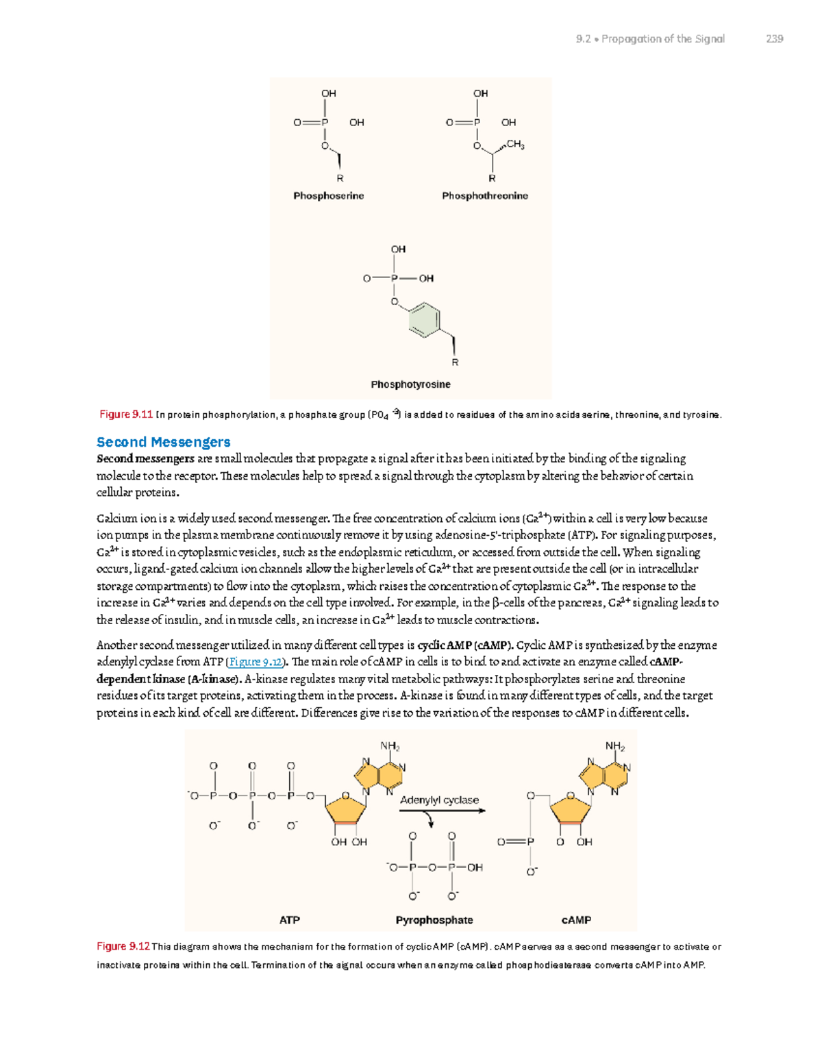 Chapter 9 Cell Communication Part 6 - Figure 9 In protein ...